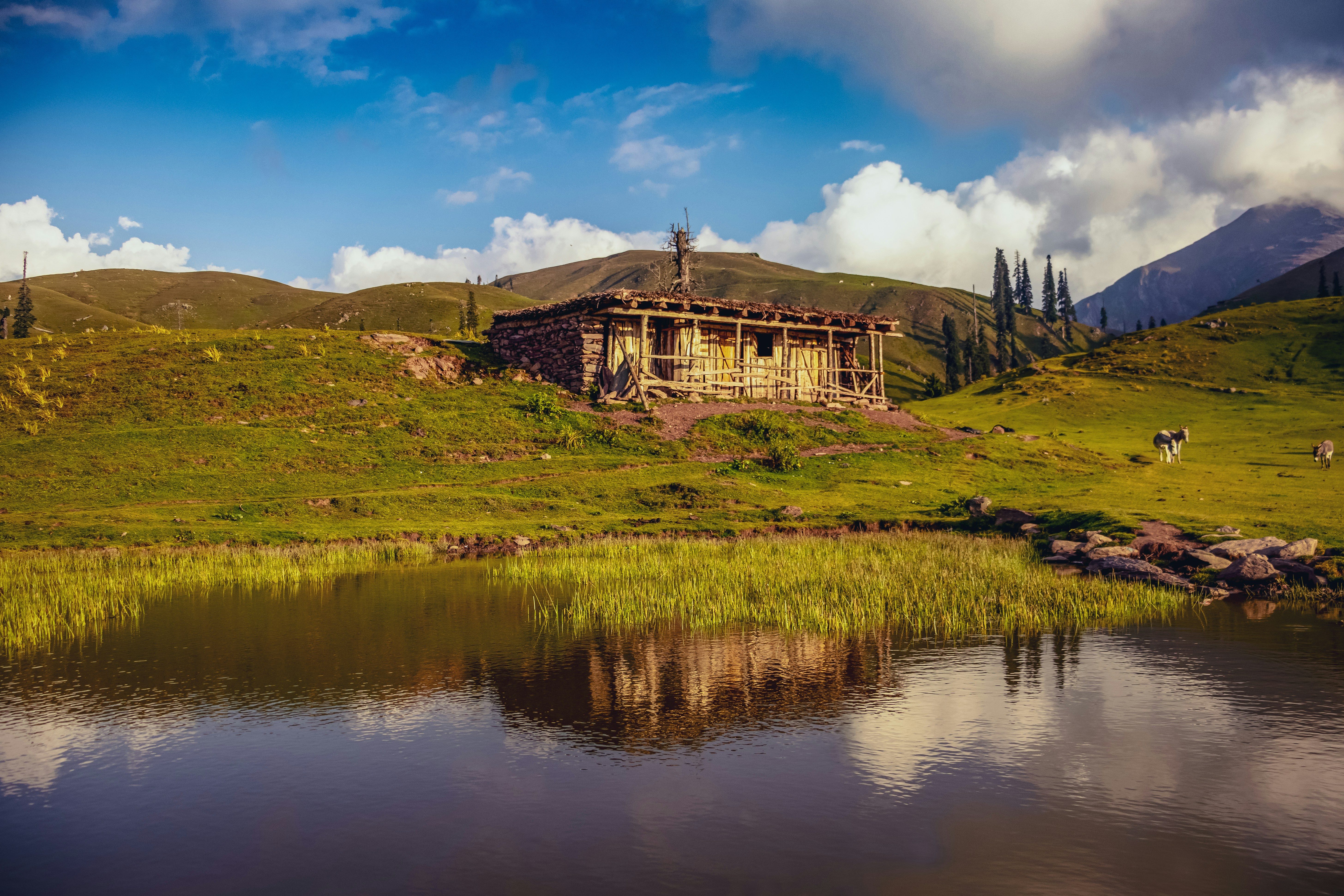Rustic Cabin by the Quiet Pond Under Painted Skies