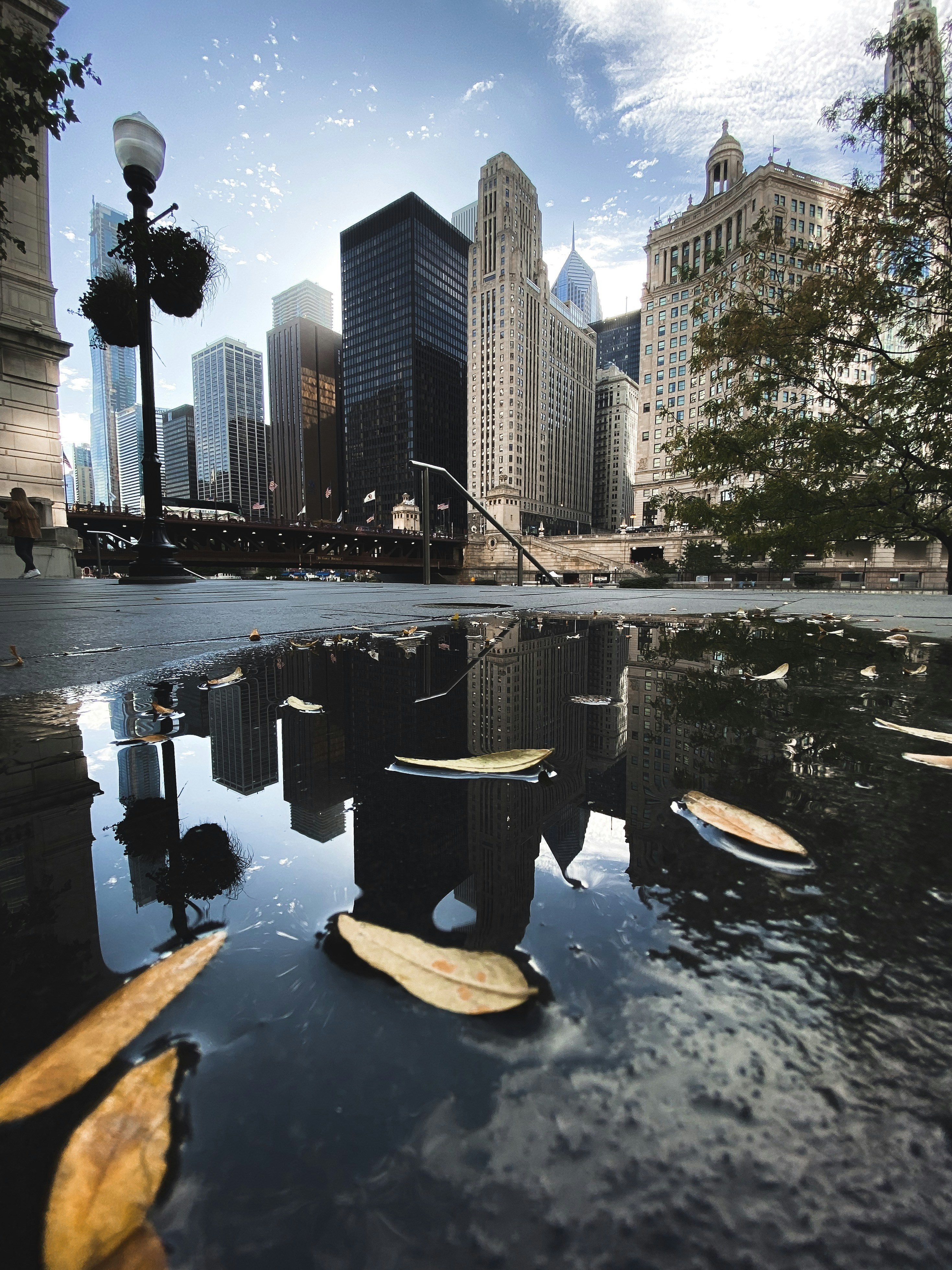 Liquid Skyline: Leaves, Bridges, and Reflections in a City Puddle