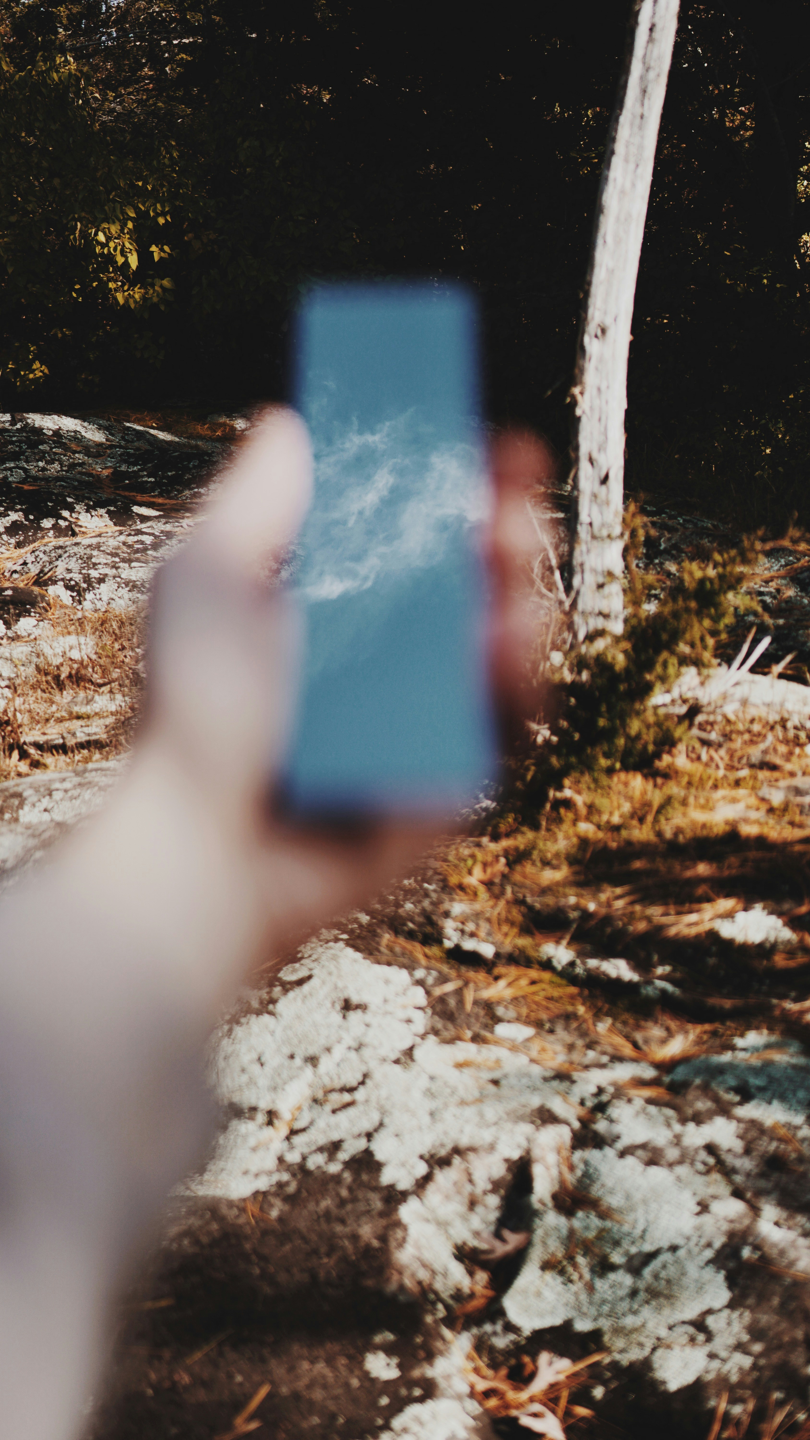 Blurred Smartphone in Forest: A Moment of Vivid Reflection