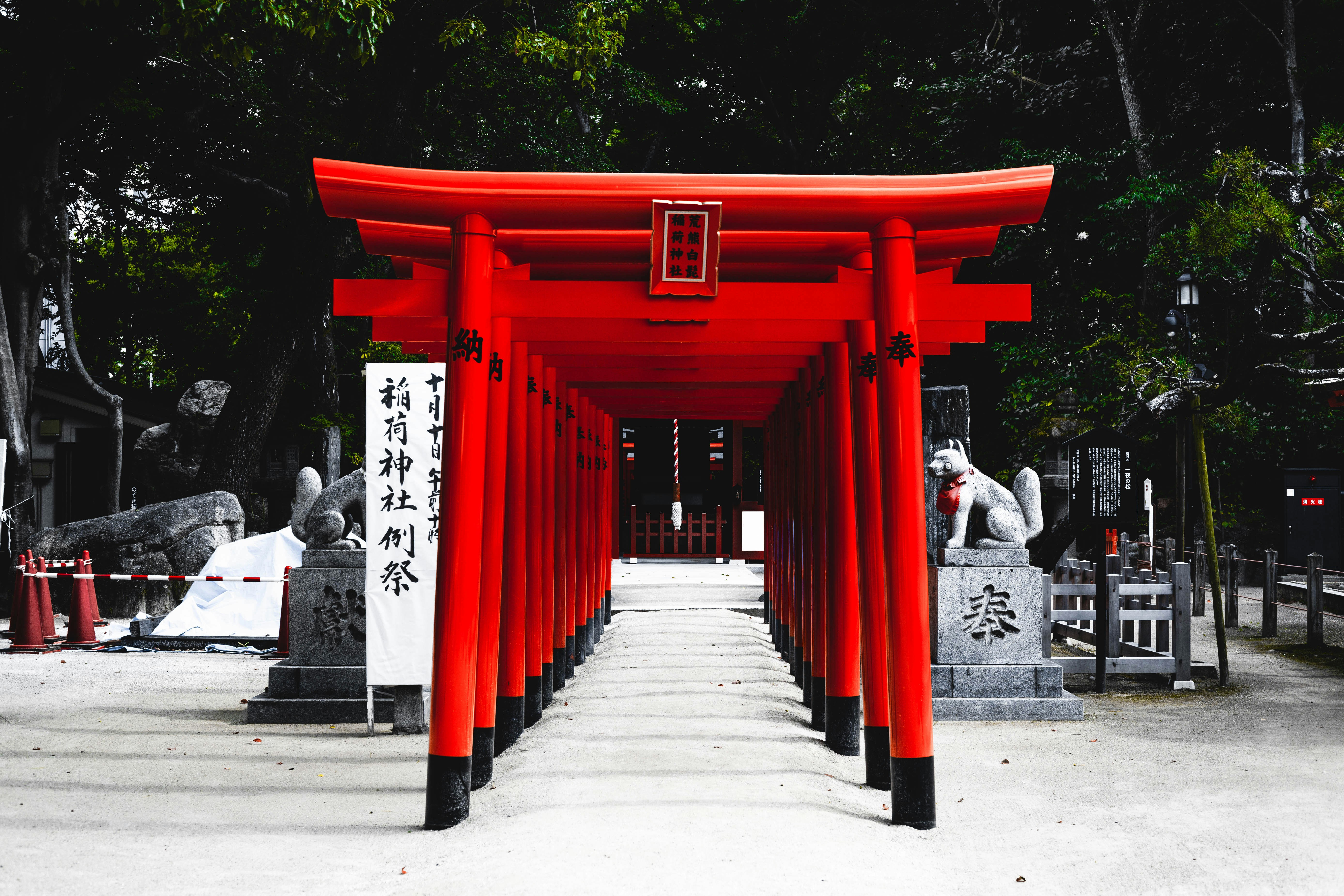 Red torii gates photo – Free Entrance Image on Unsplash