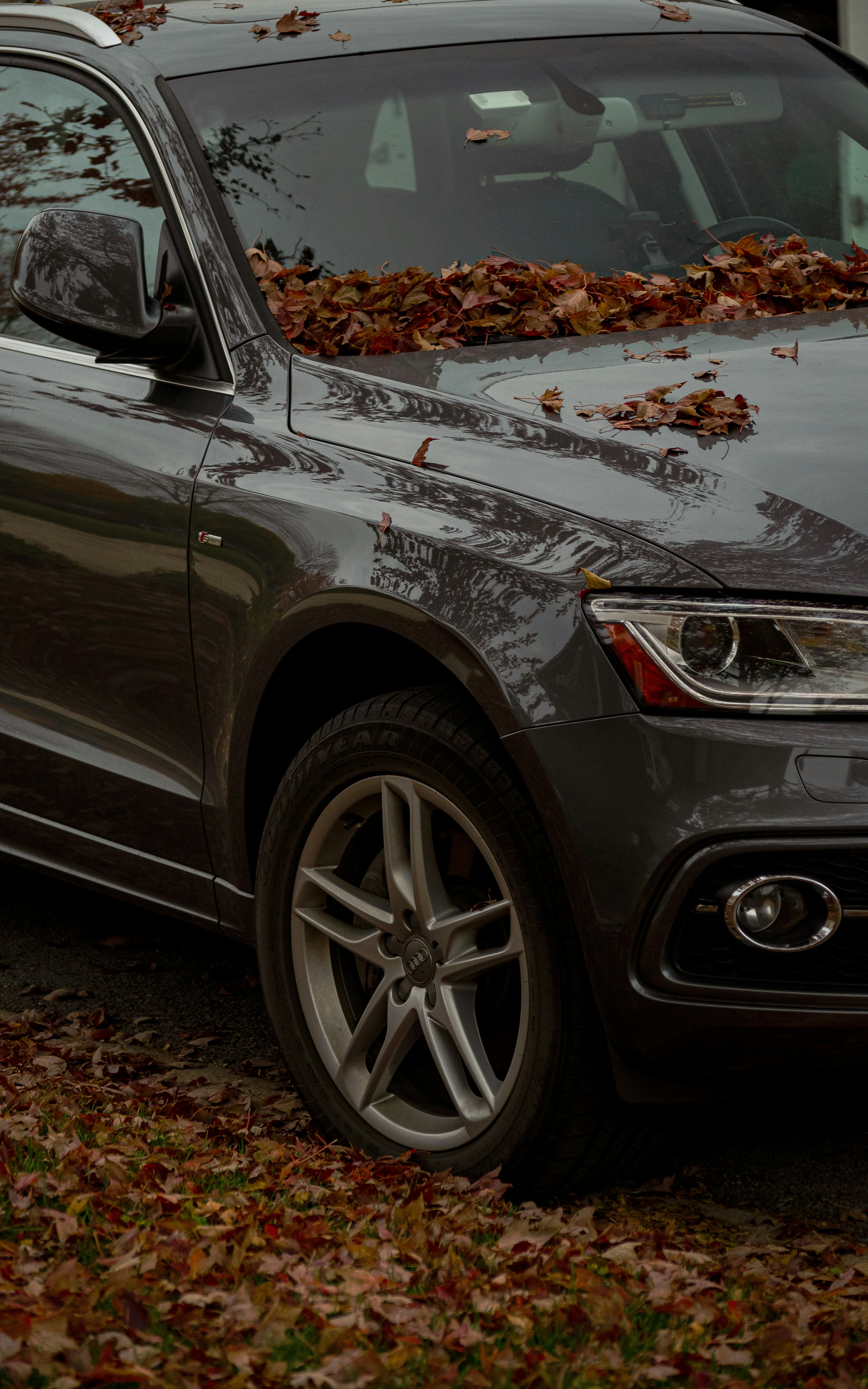 Autumn Reflections on a Dark Metallic SUV