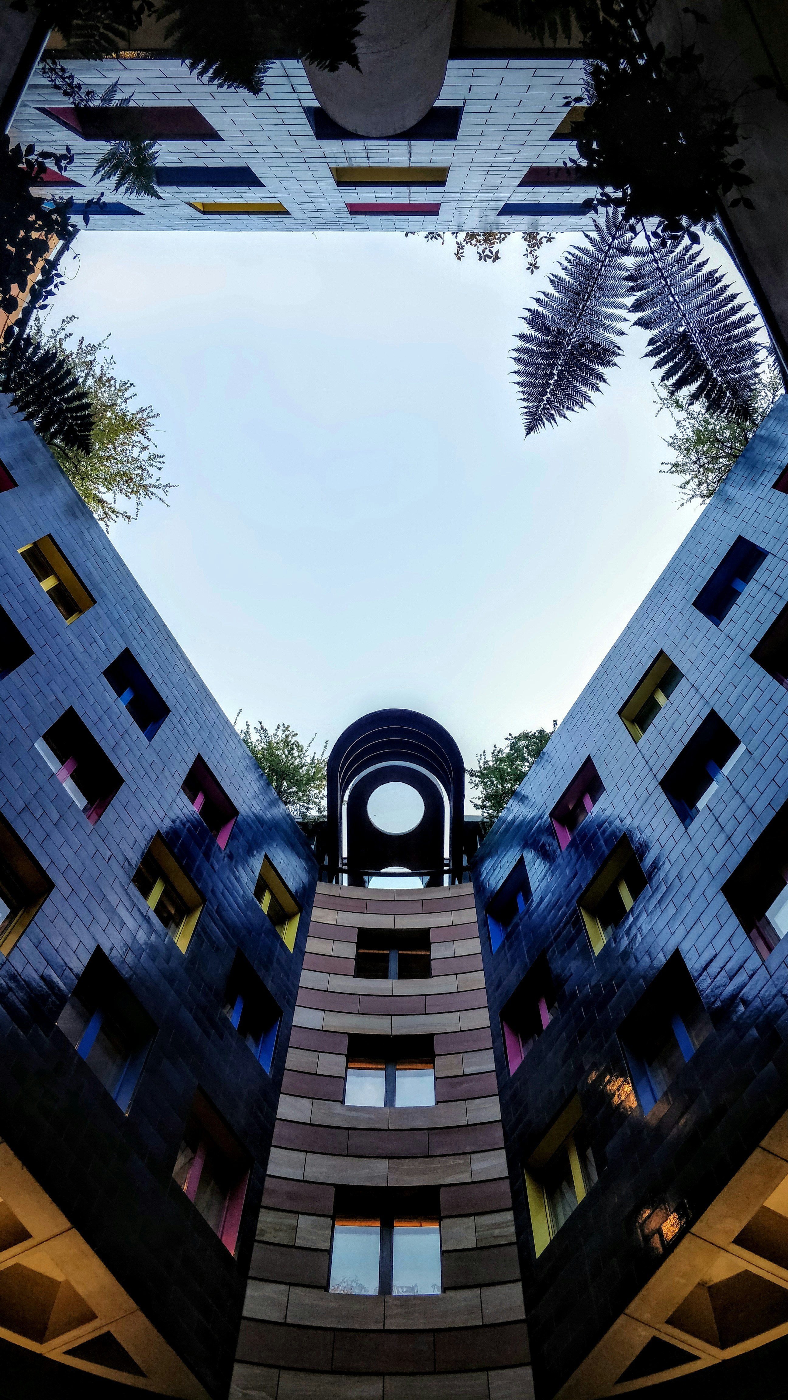 Looking up through a modern architectural courtyard, vibrant windows contrast with dark walls, framed by lush greenery. The open sky forms a serene backdrop.
