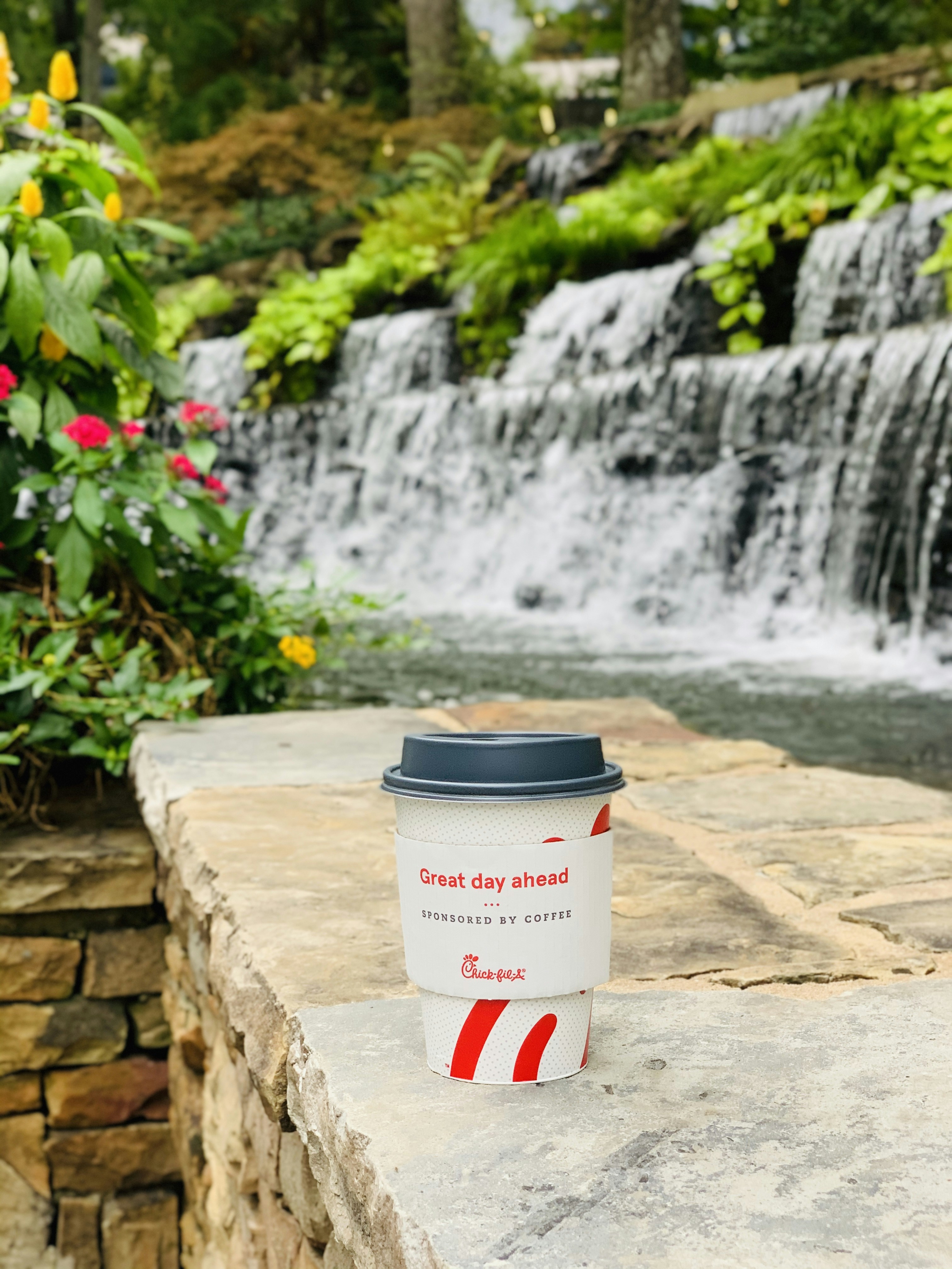 Foam and Flow: Coffee Pause at a Garden Waterfall