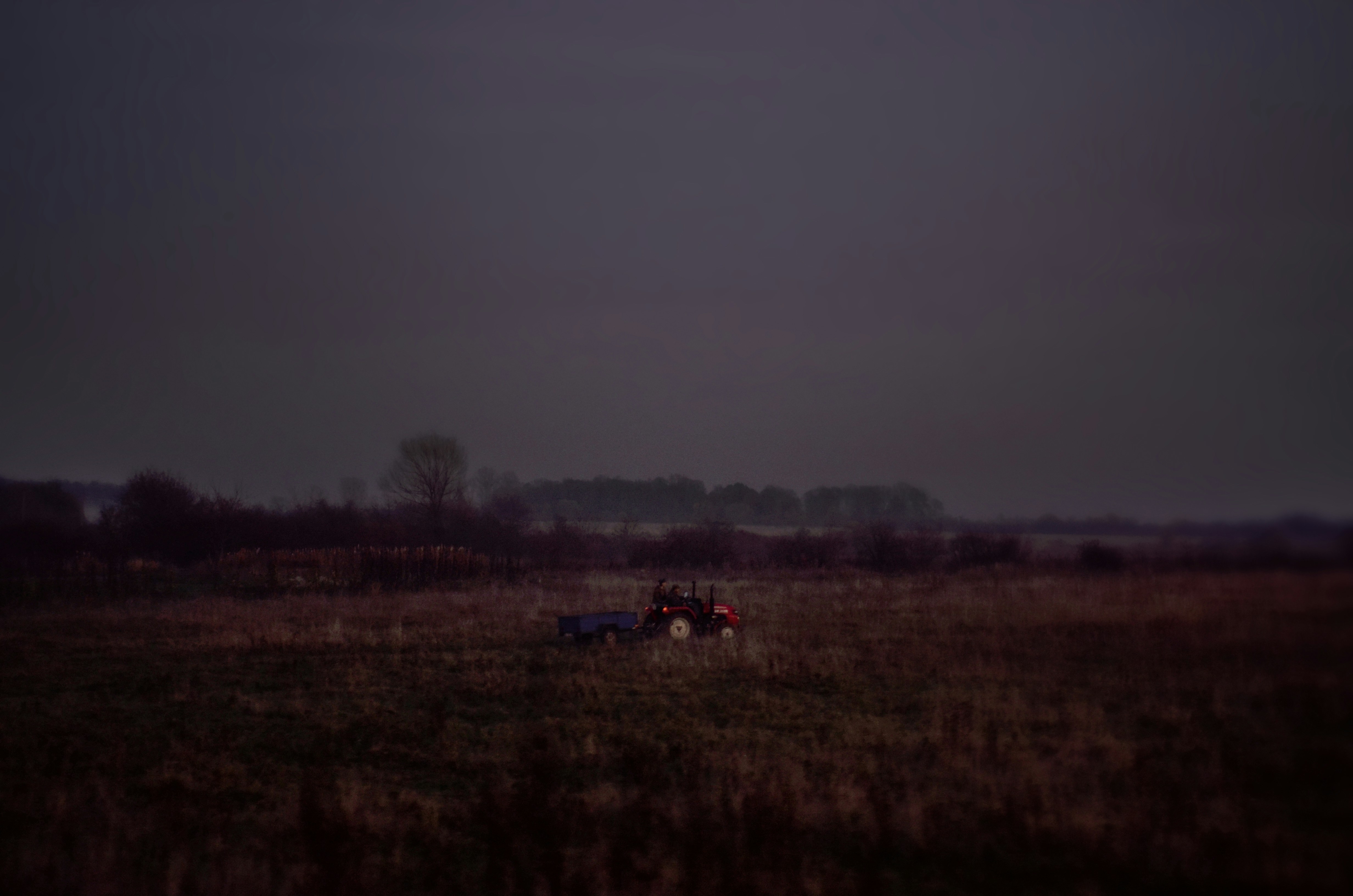 Red Tractor at Dusk: A Lone Workhorse in a Quiet Field
