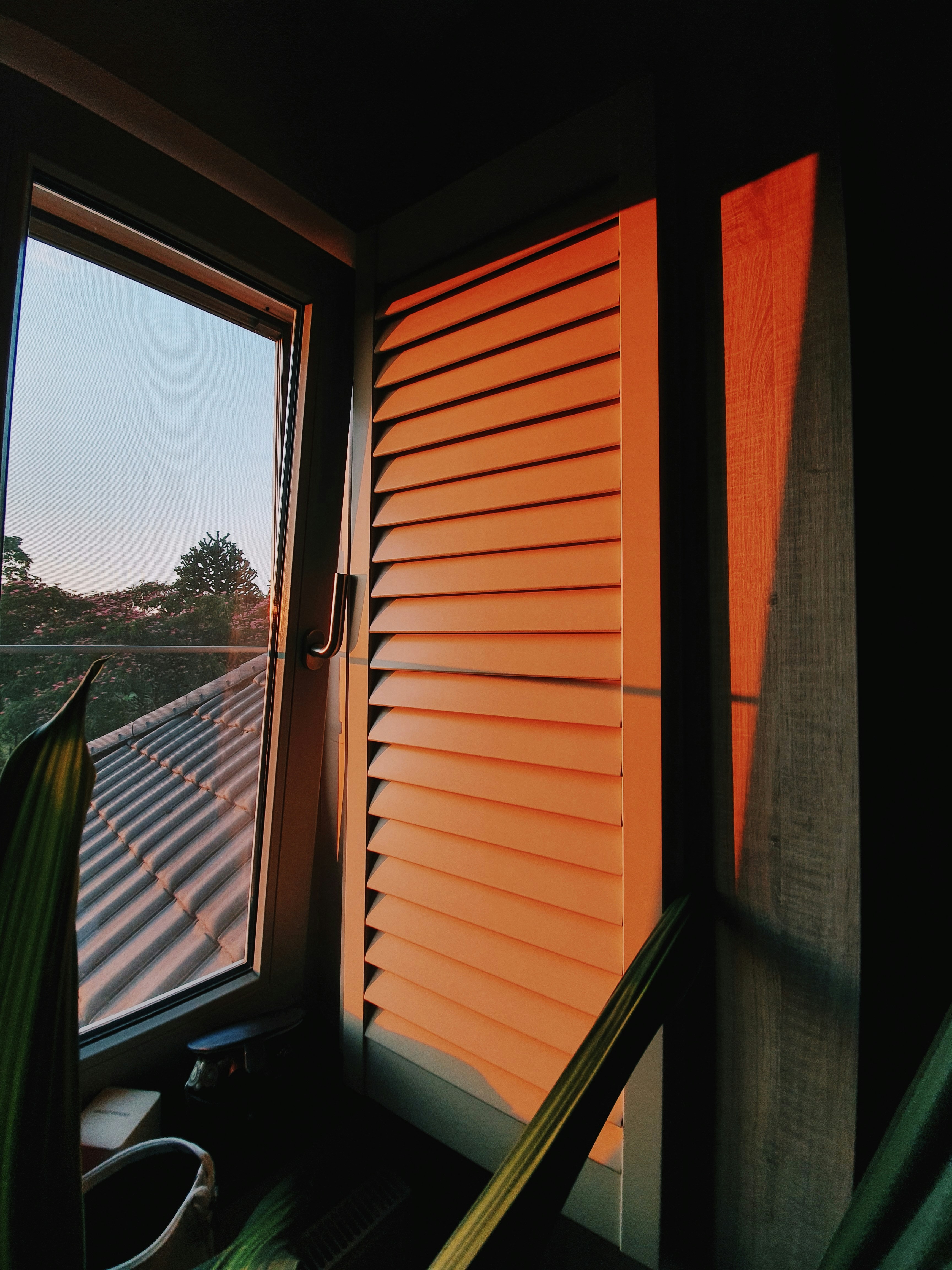 Warm sunset light floods horizontal blinds beside a window, casting orange tones across the interior. A couple of houseplants frame the foreground while a tiled roof and distant trees glow outside.