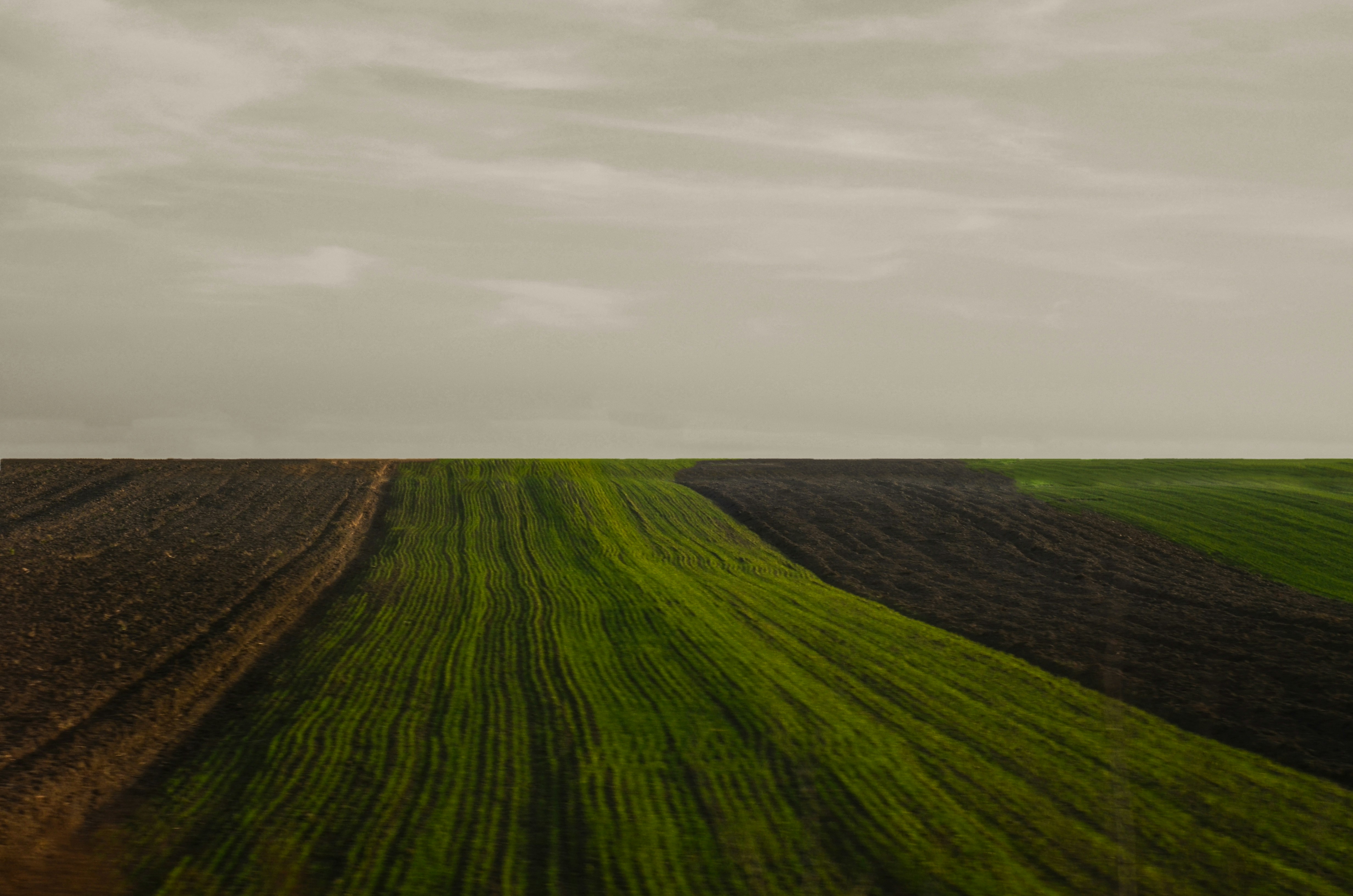 Emerald Patchwork Under Overcast Skies