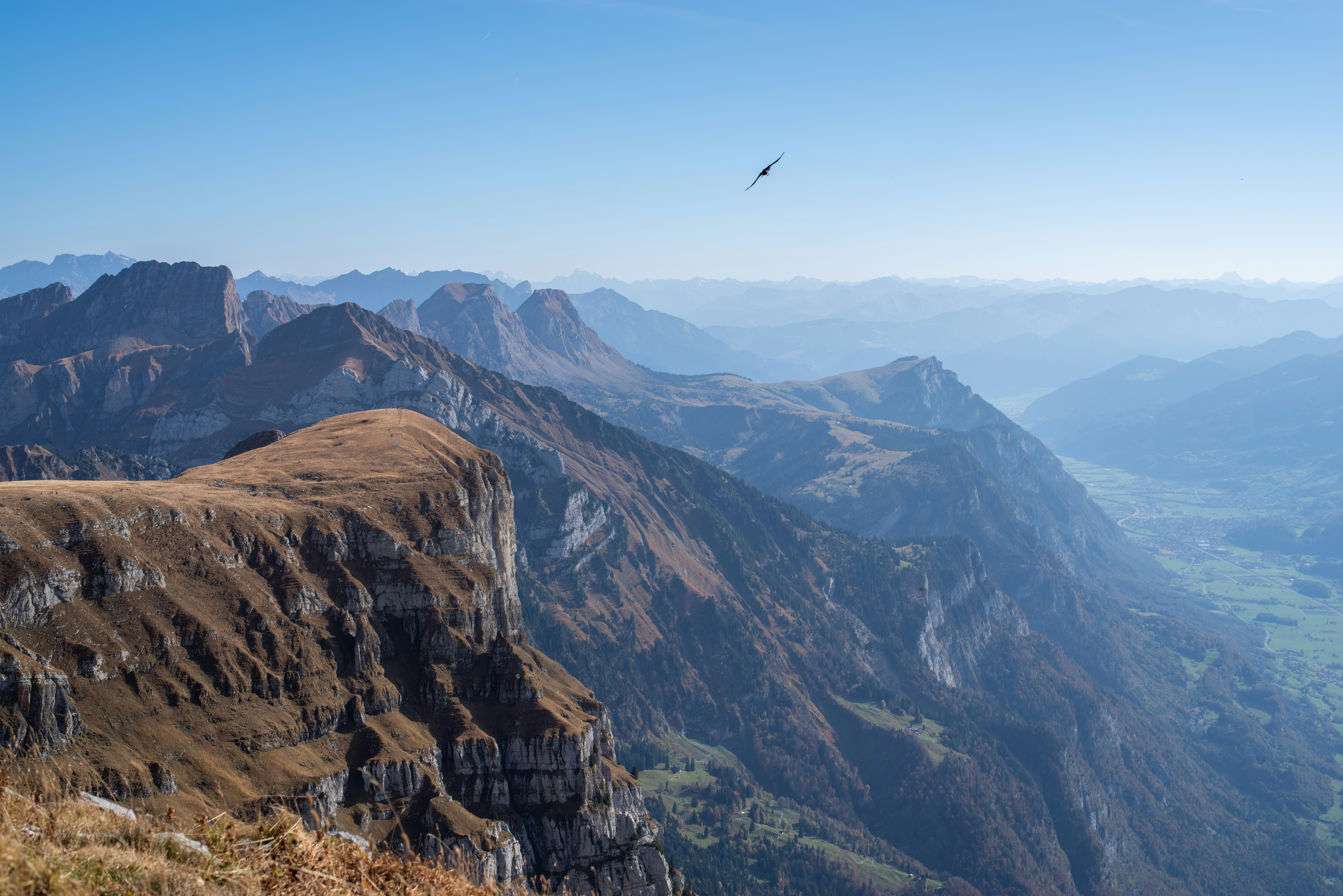 Bird soars above rugged alpine cliffs with a sweeping valley below, capturing expansive landscape and distant ranges.