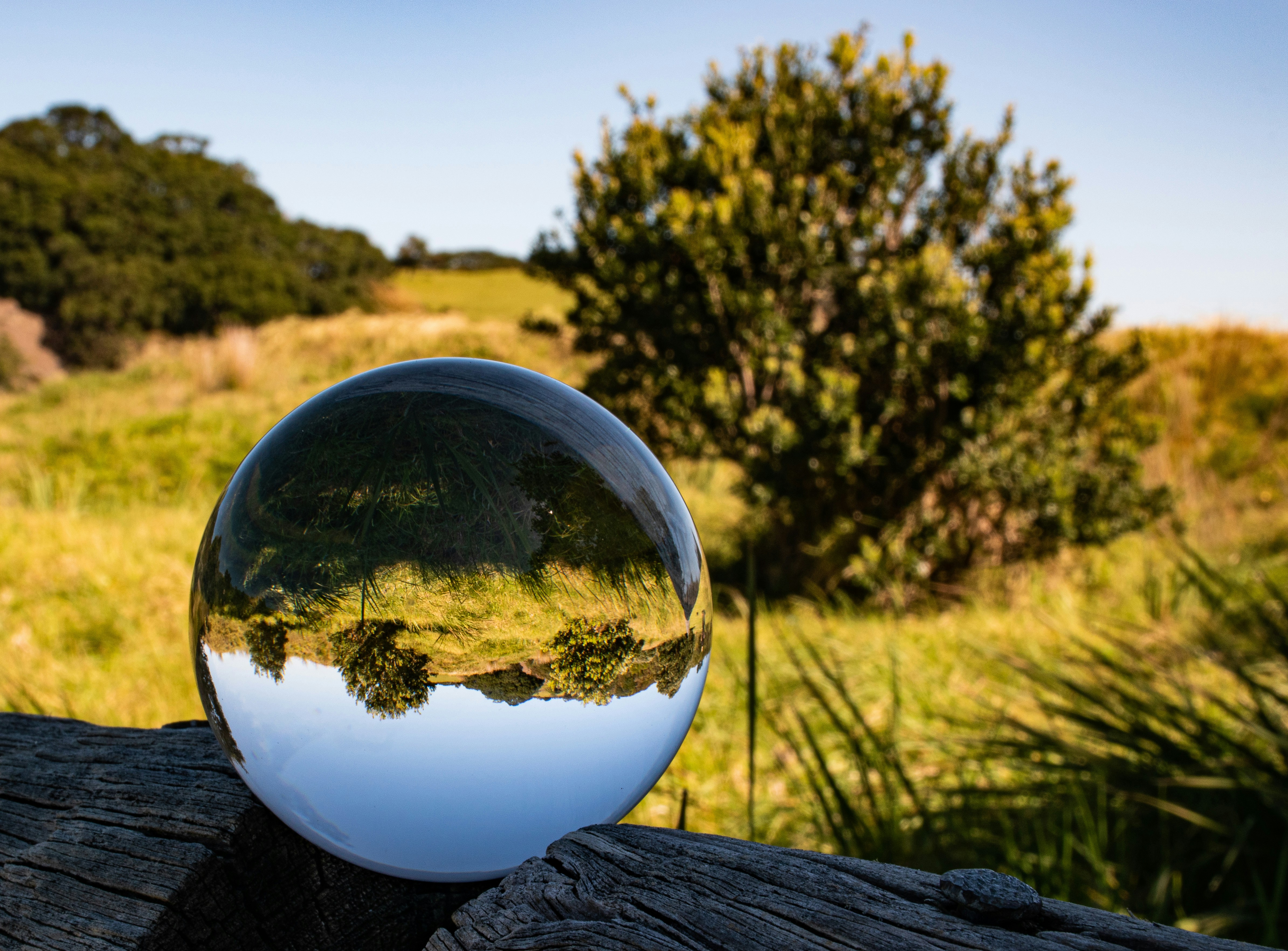 Reflected Horizon in a Glass Sphere