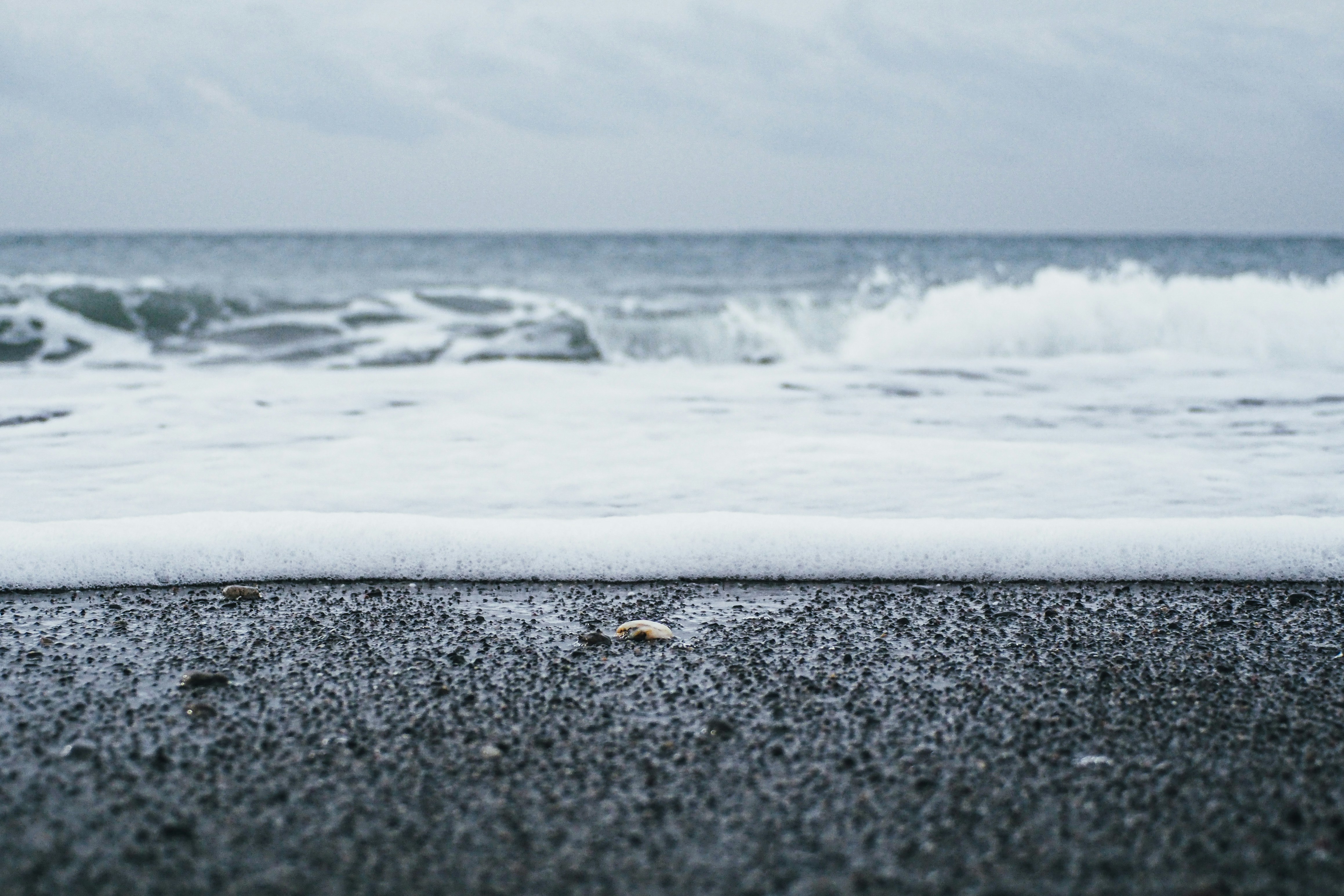 Gentle waves lapping against a dark sandy shore, with a single shell nestled among the grains. The overcast sky casts a serene ambiance.
