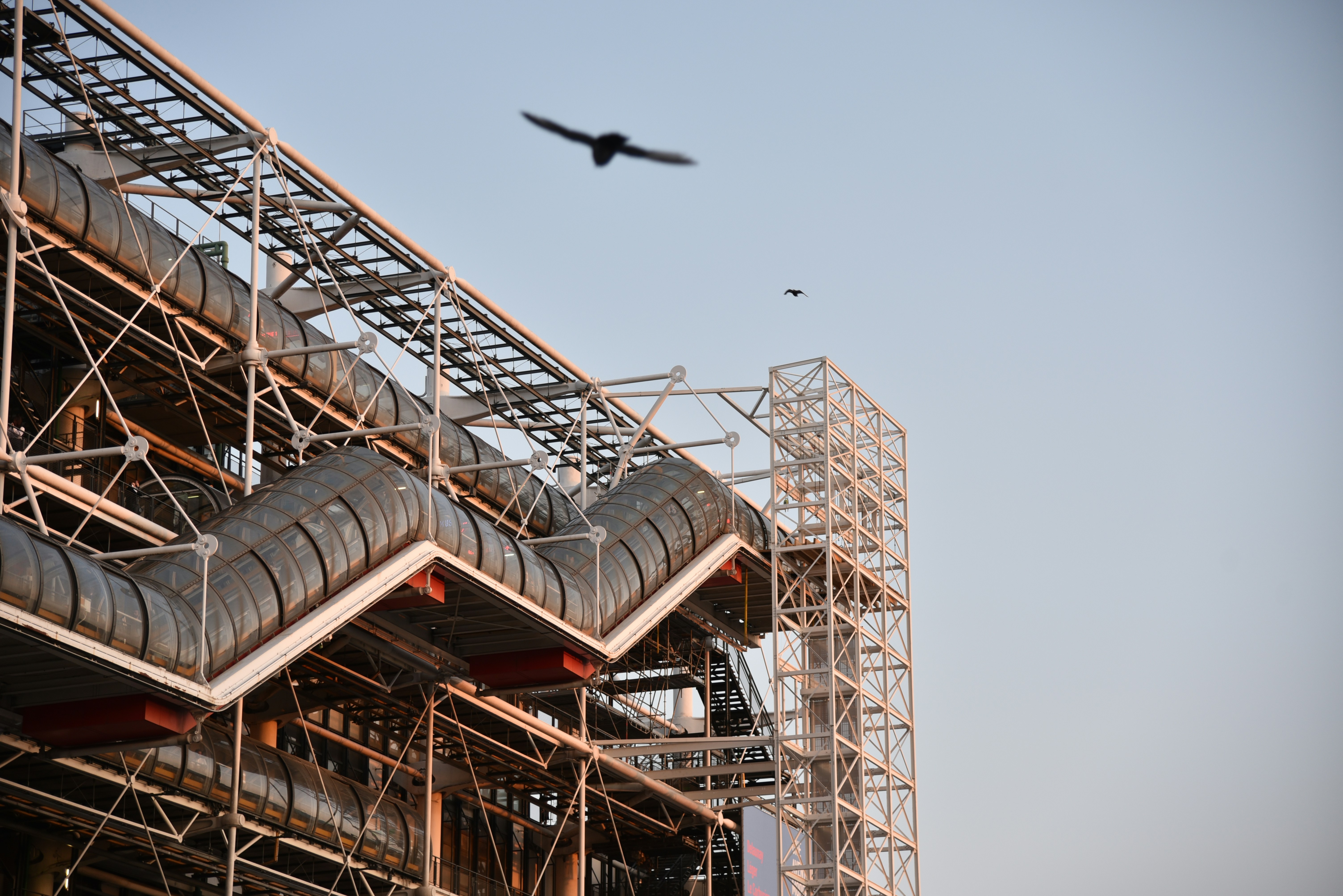 Industrial Staircase Echo: Latticed Steel and Wind