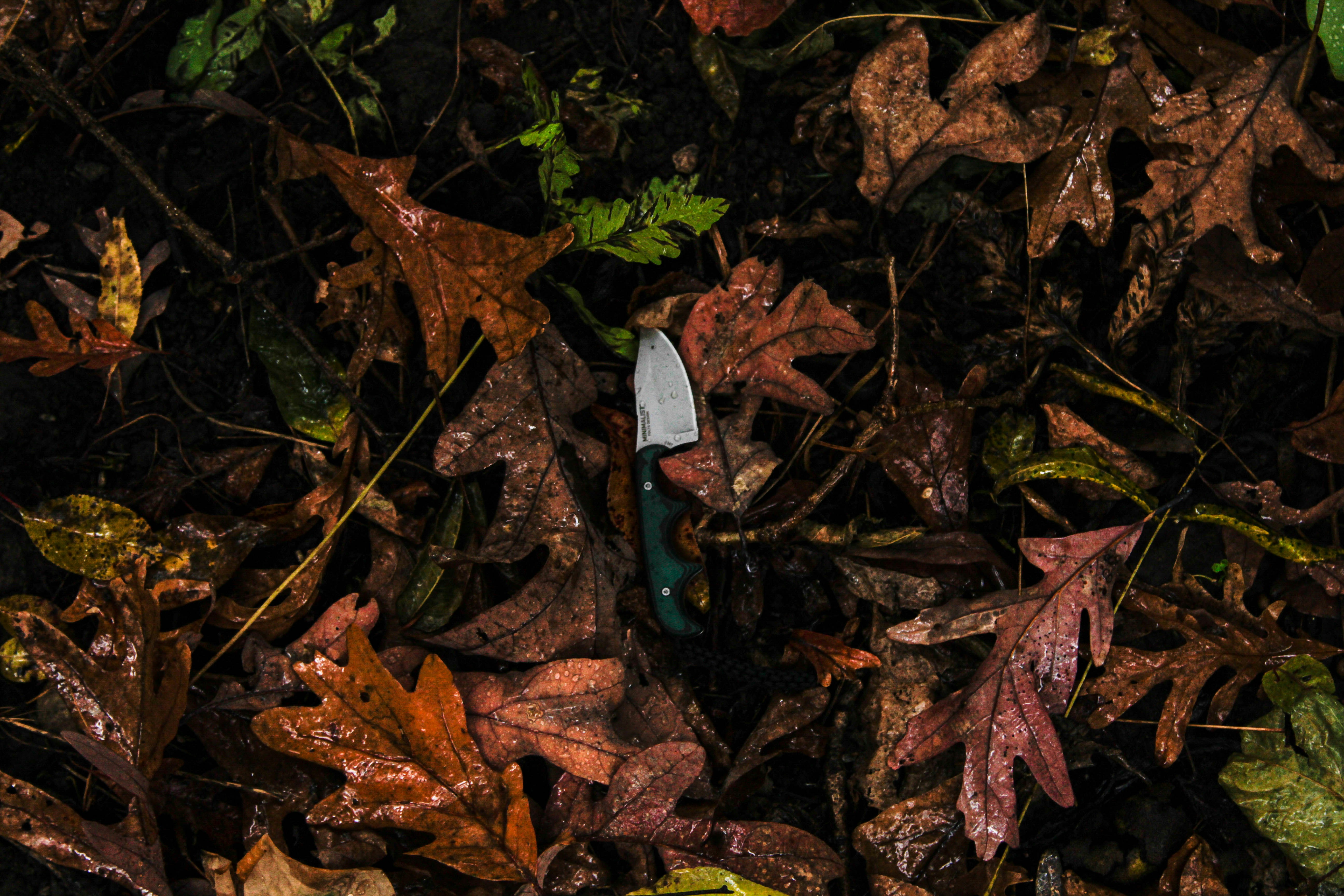 Emerald-Handled Knife Hidden in Damp Autumn Leaves