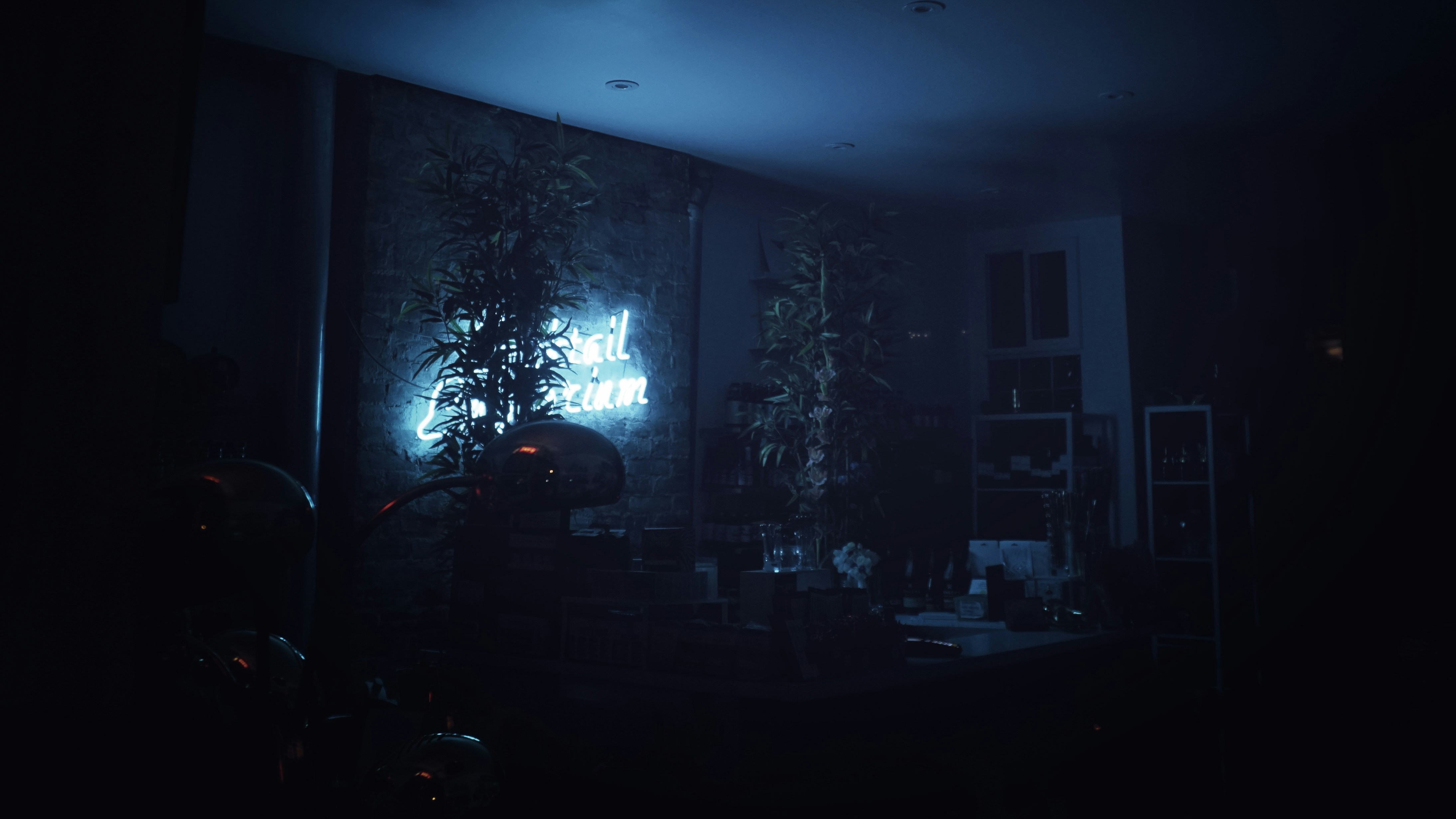 A dimly lit room with a plant in the corner photo – Free Grey Image on ...