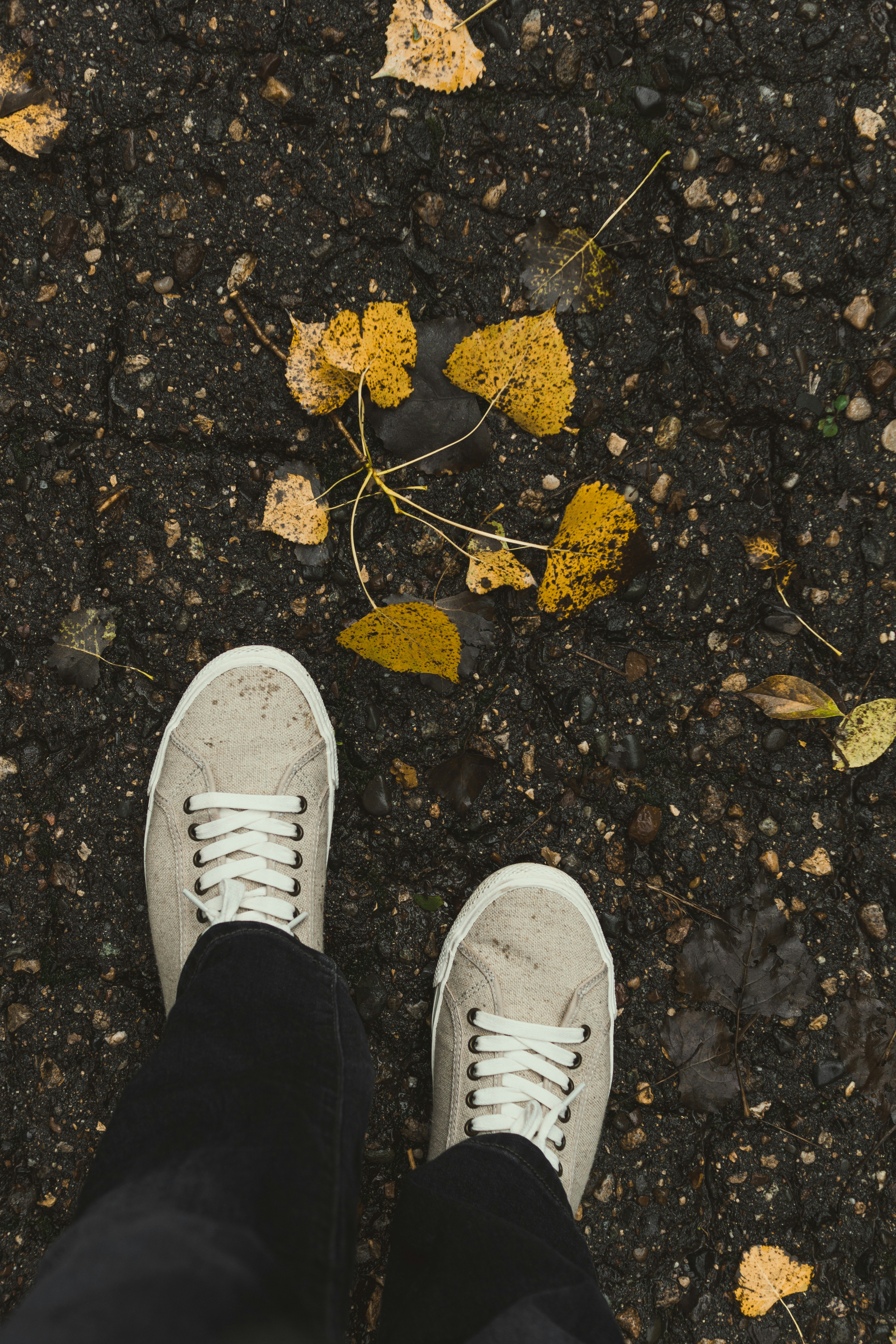 A pair of beige sneakers stands atop a wet, textured path scattered with vibrant autumn leaves. The scene captures the essence of fall's fleeting beauty.