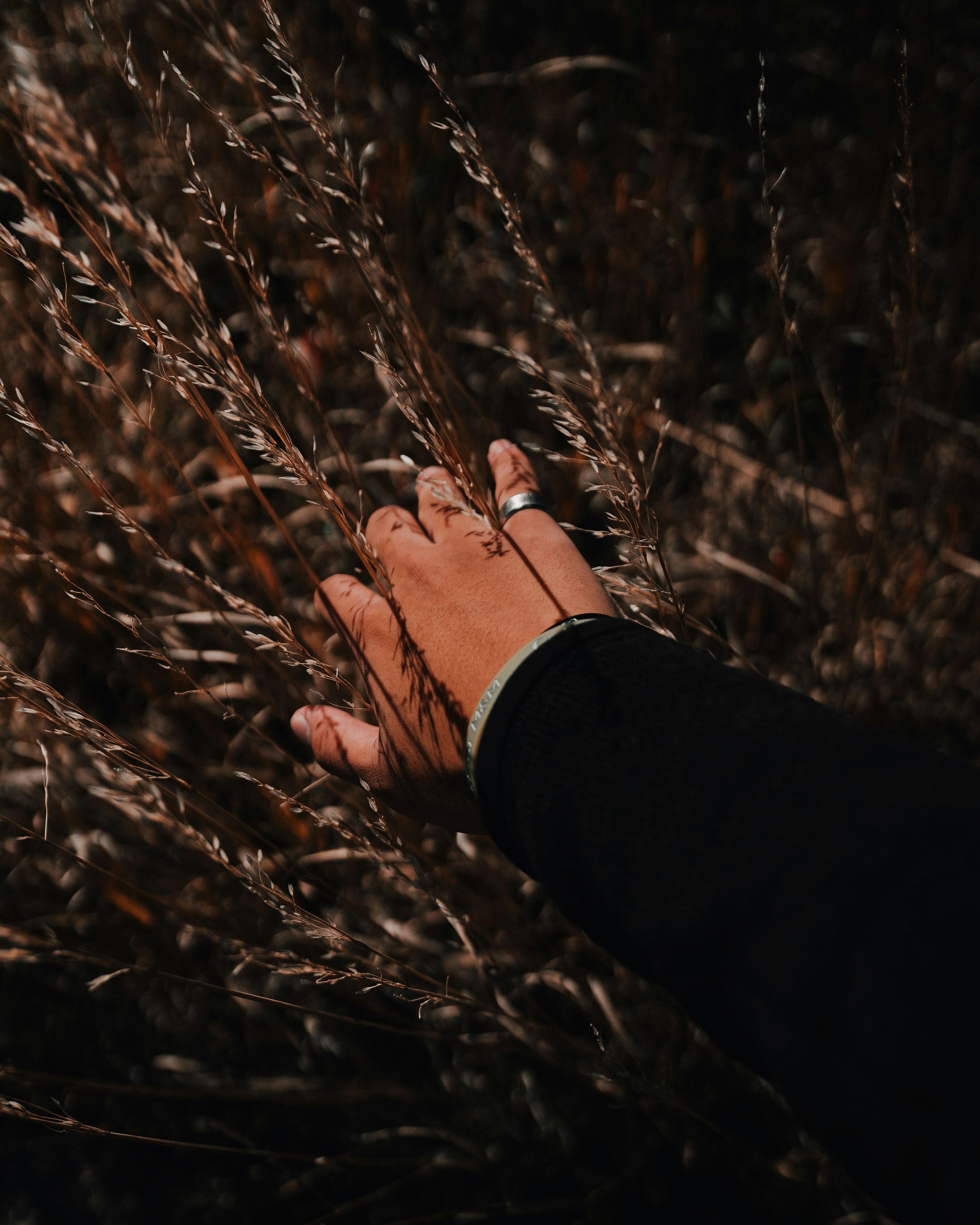 man's hand on plants