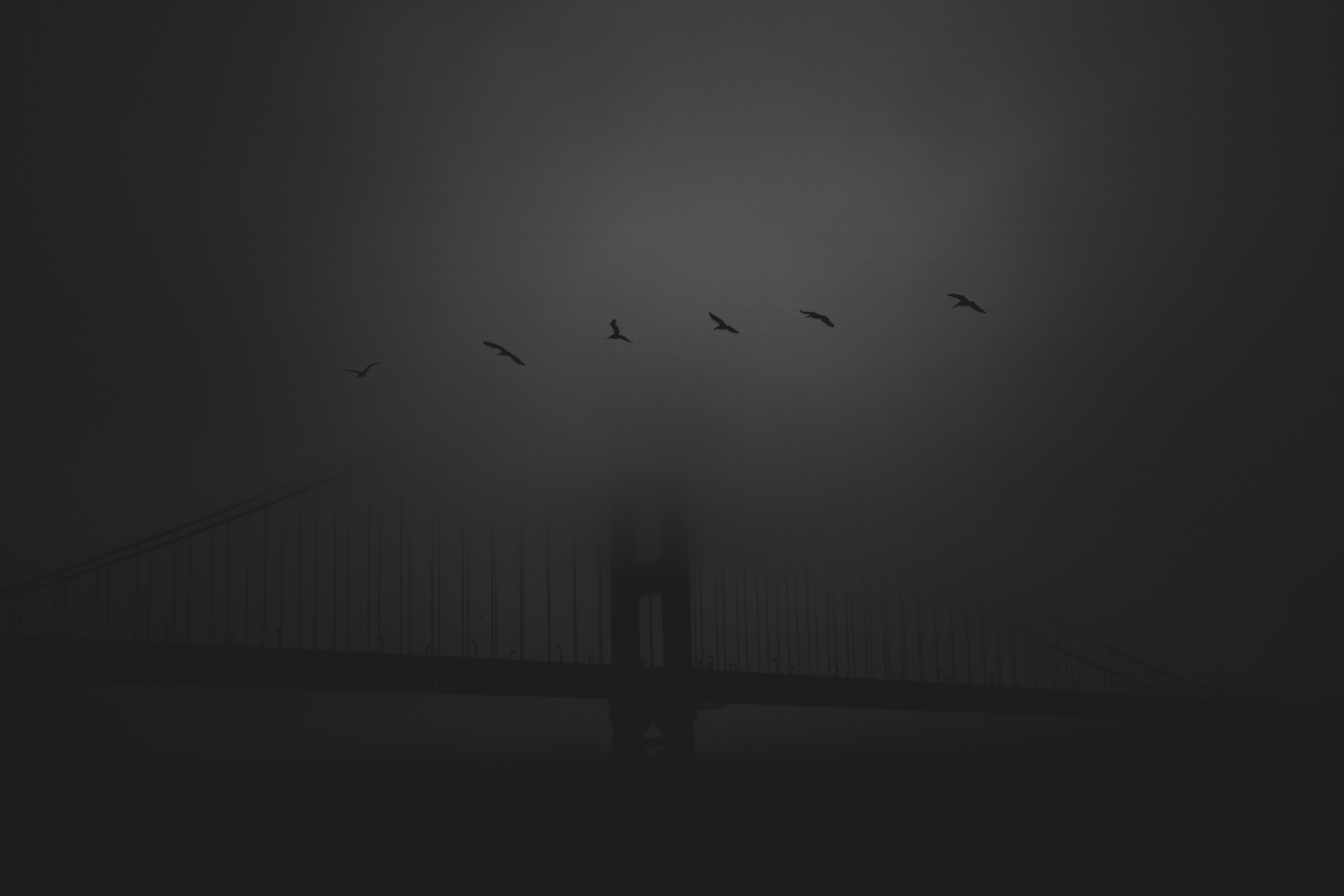 traf (@traf) | Komunitas Foto Unsplash