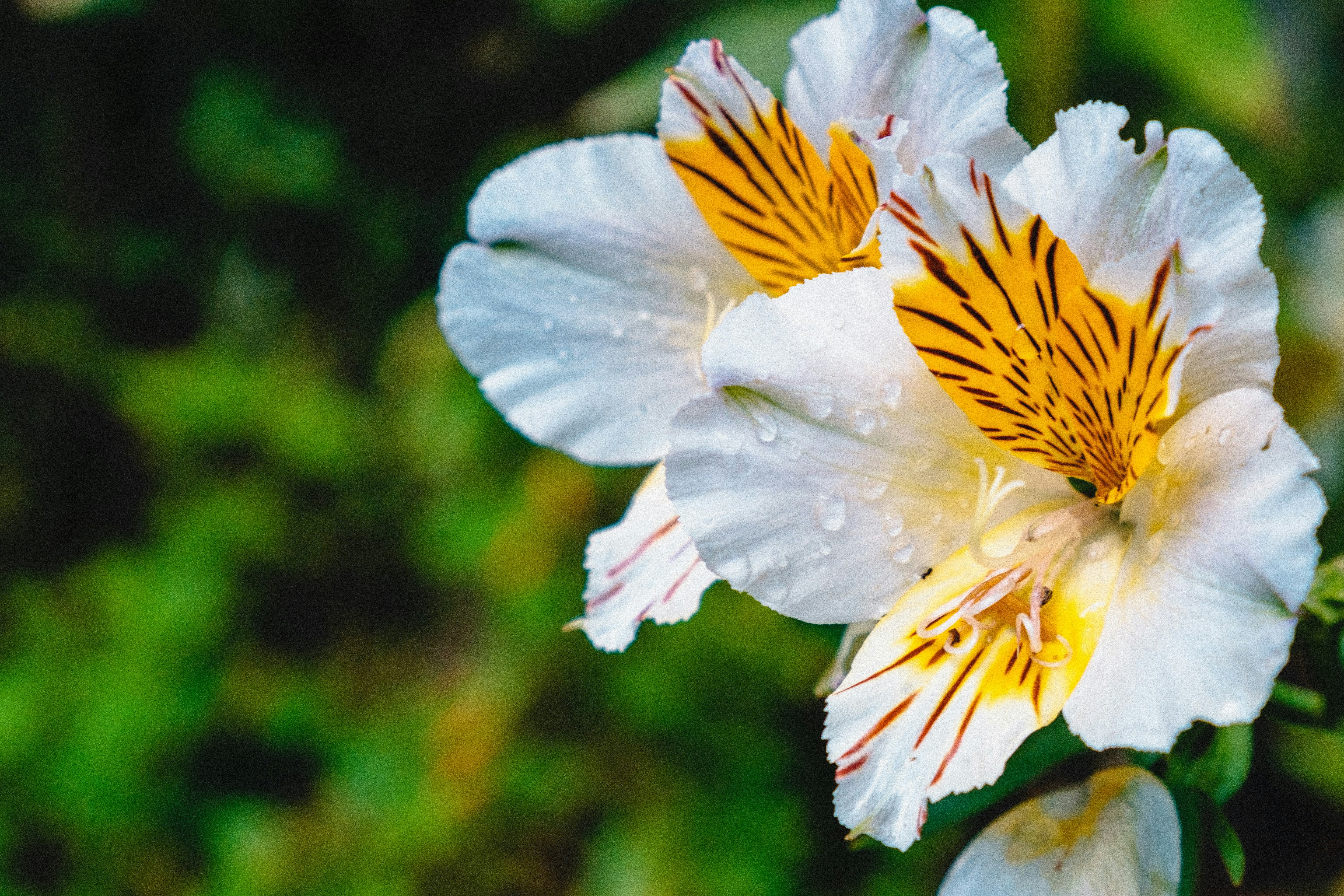 Jamie Haughton (@haughters) | Unsplash Photo Community