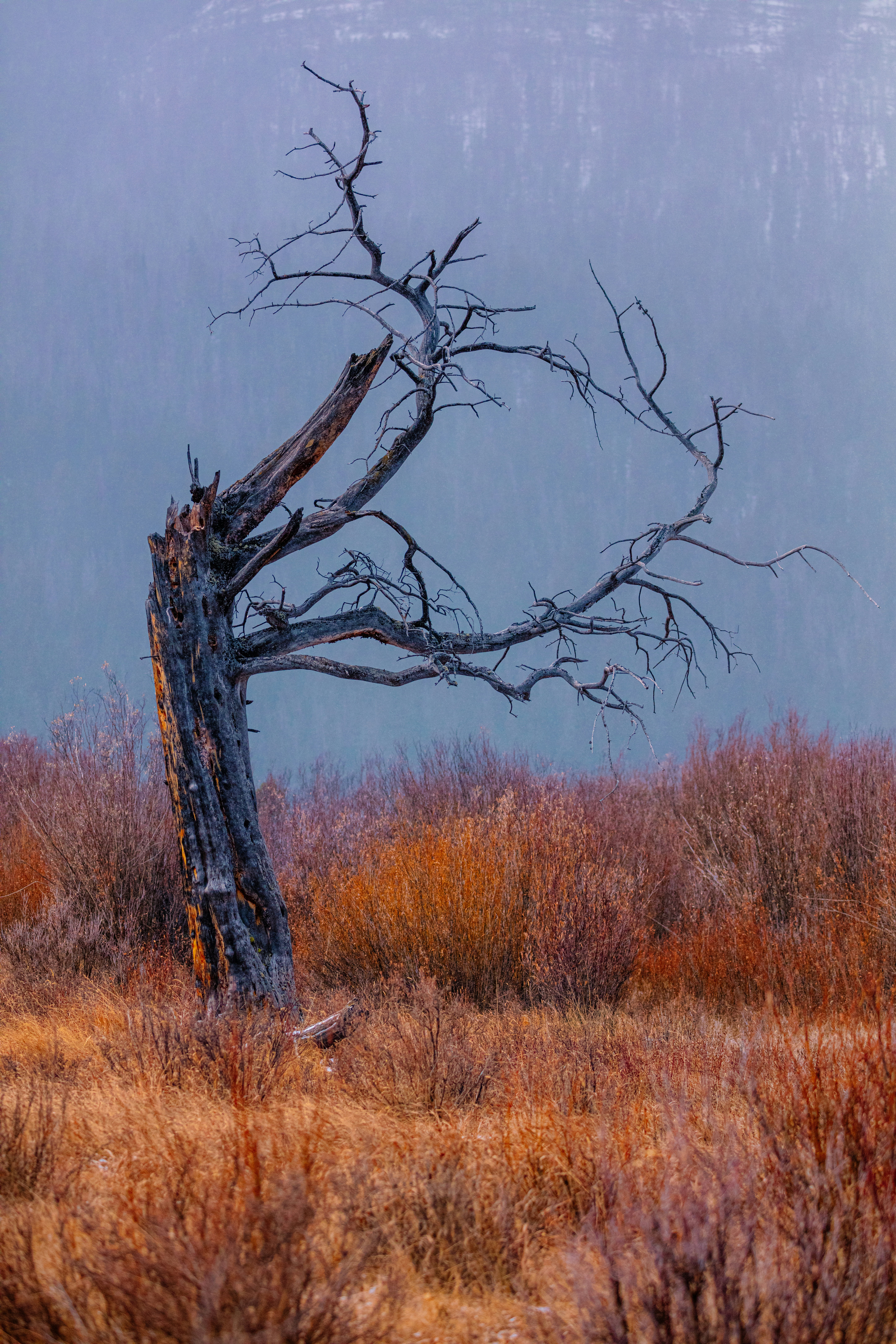 Lone Weathered Sentinel Against a Dusk-Blue Horizon