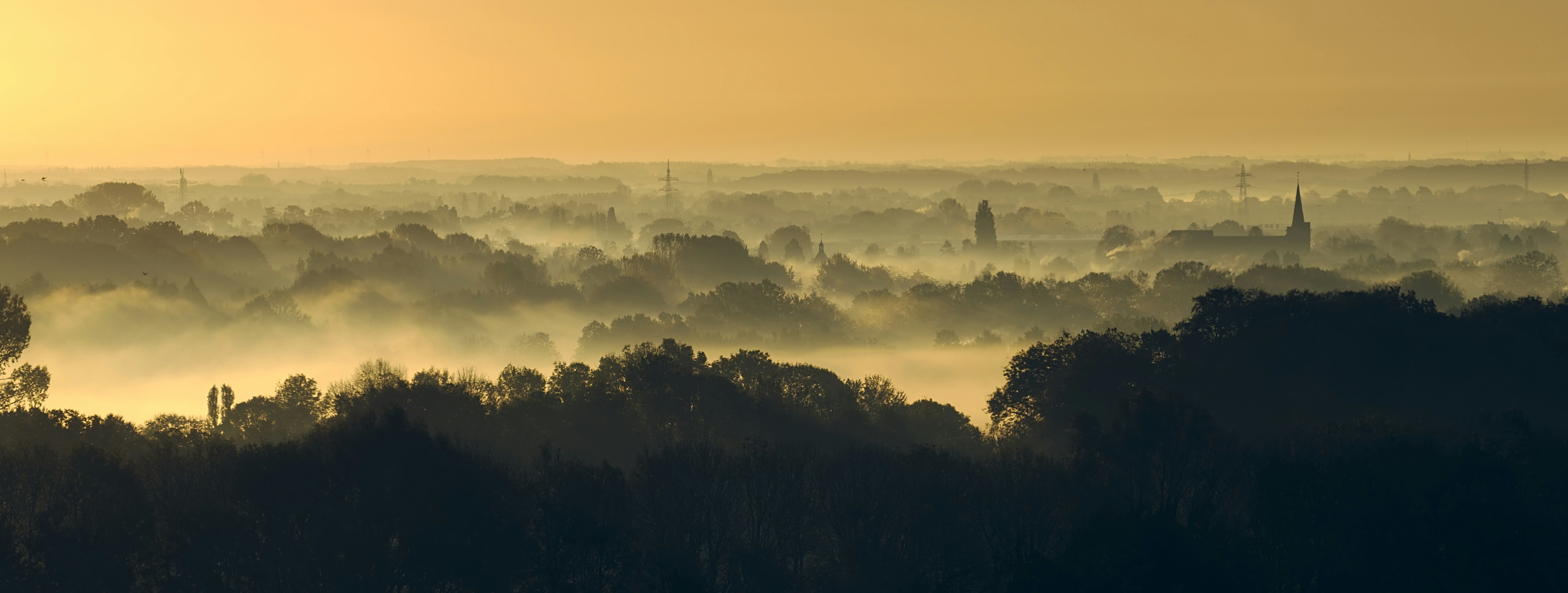 Dawn's Golden Veil: Fog-Lapped Horizon and Silhouettes
