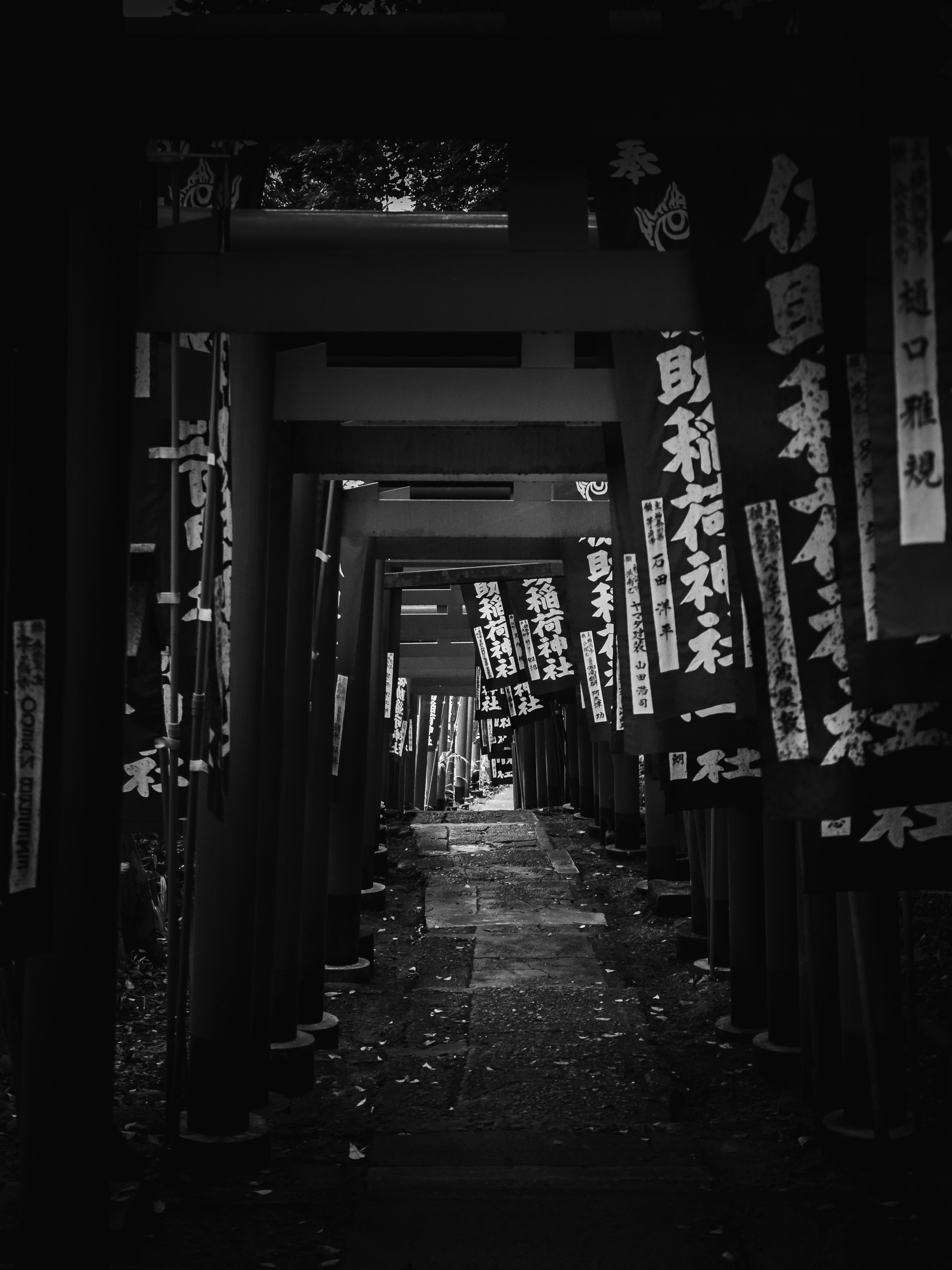 Light at the End of the Torii Tunnel: A Monochrome Shrine Corridor