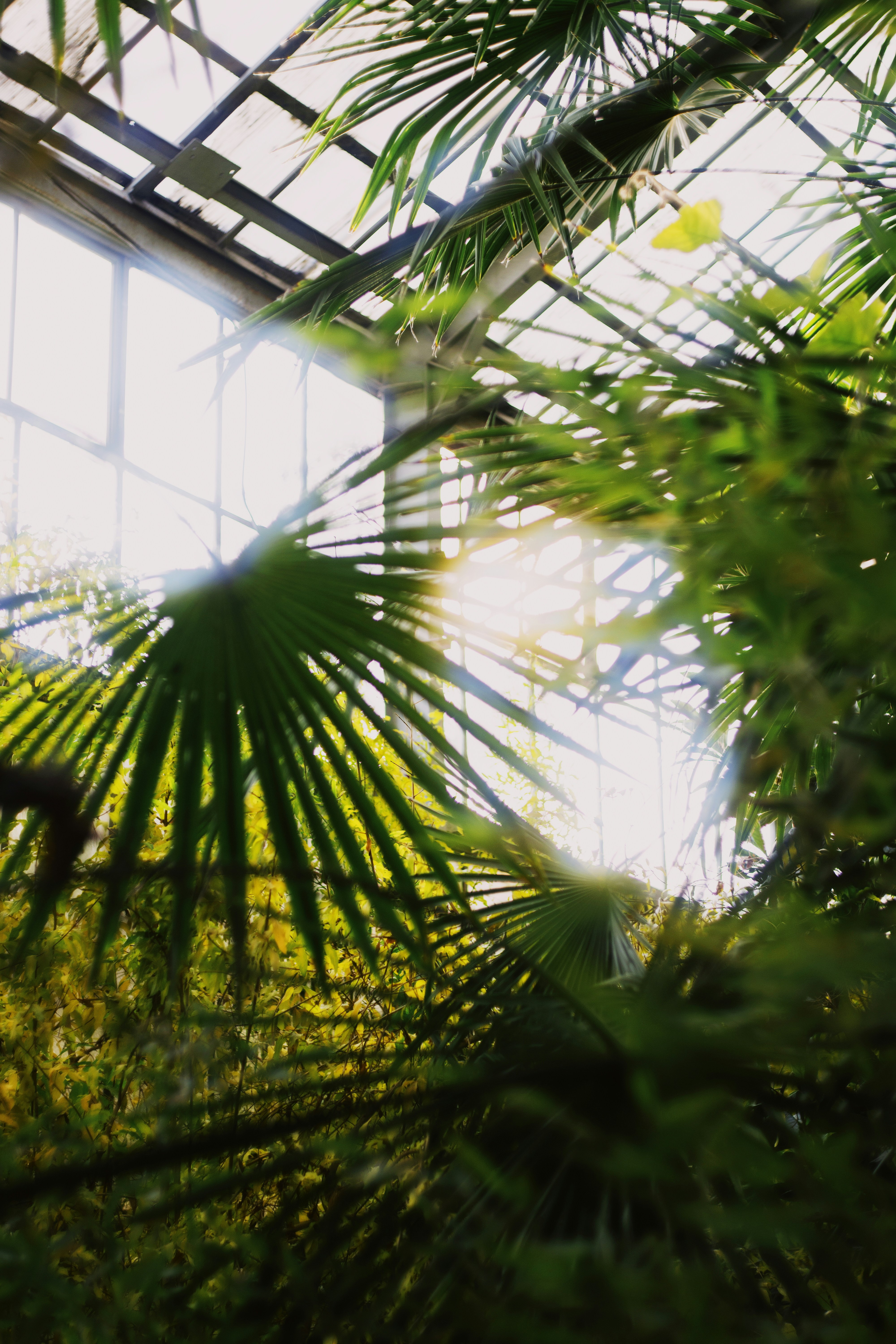 Window Sunlight Pictures | Download Free Images on Unsplash