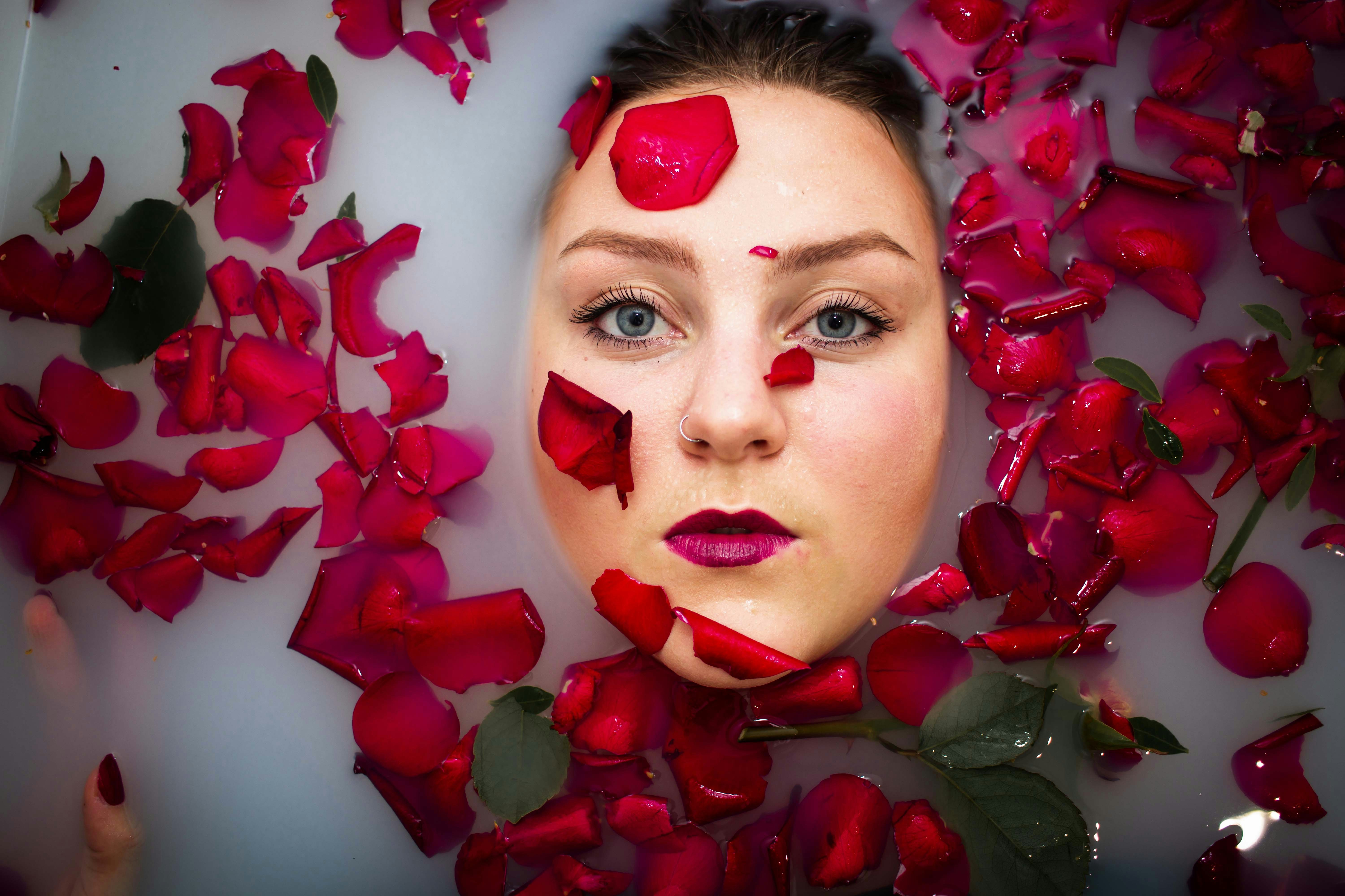 Rose Petals Submerged: A Portrait in Quiet Contour