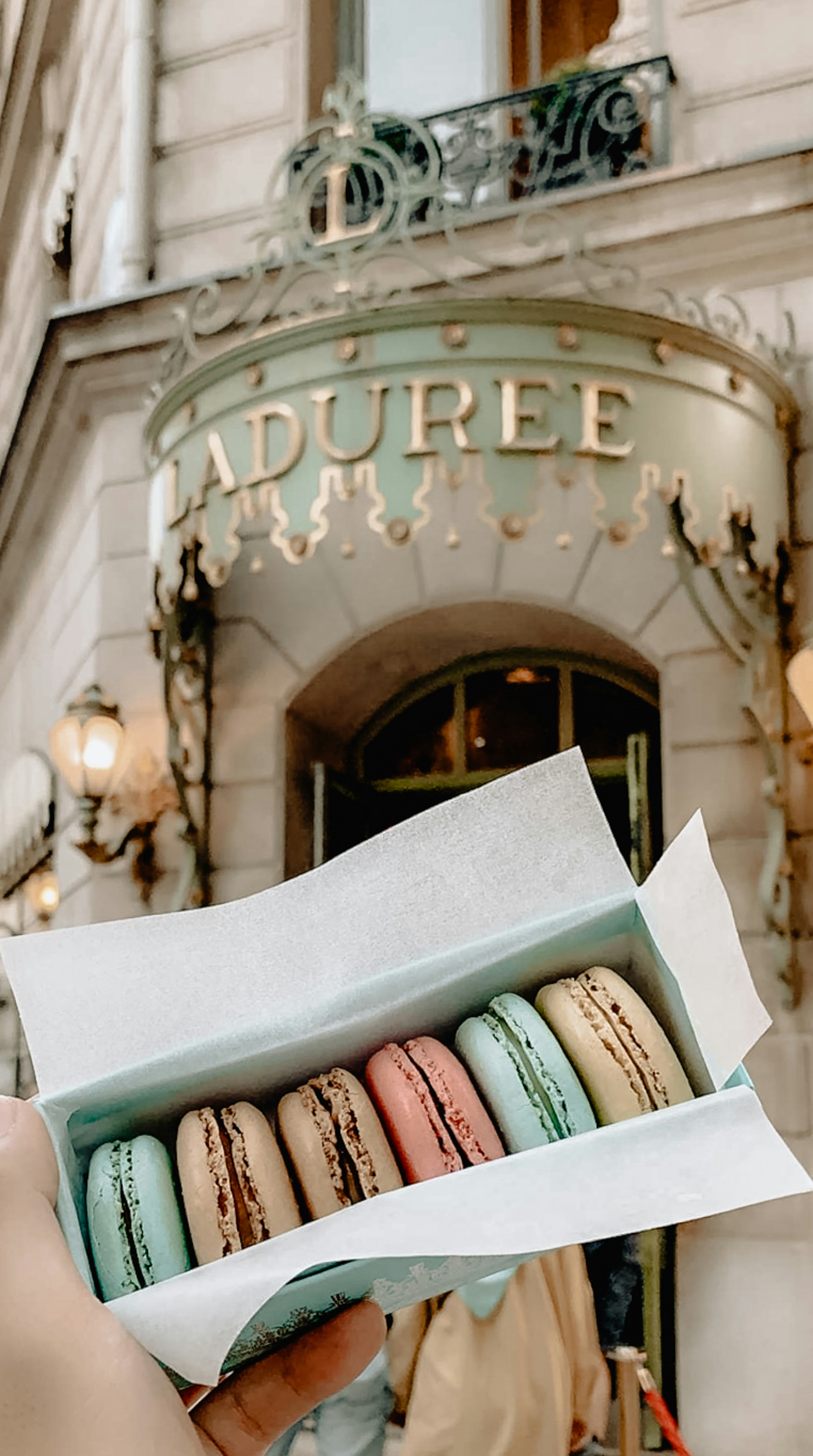 Pastel Food | 36 best free pastel, food, plant and sweet photos on Unsplash