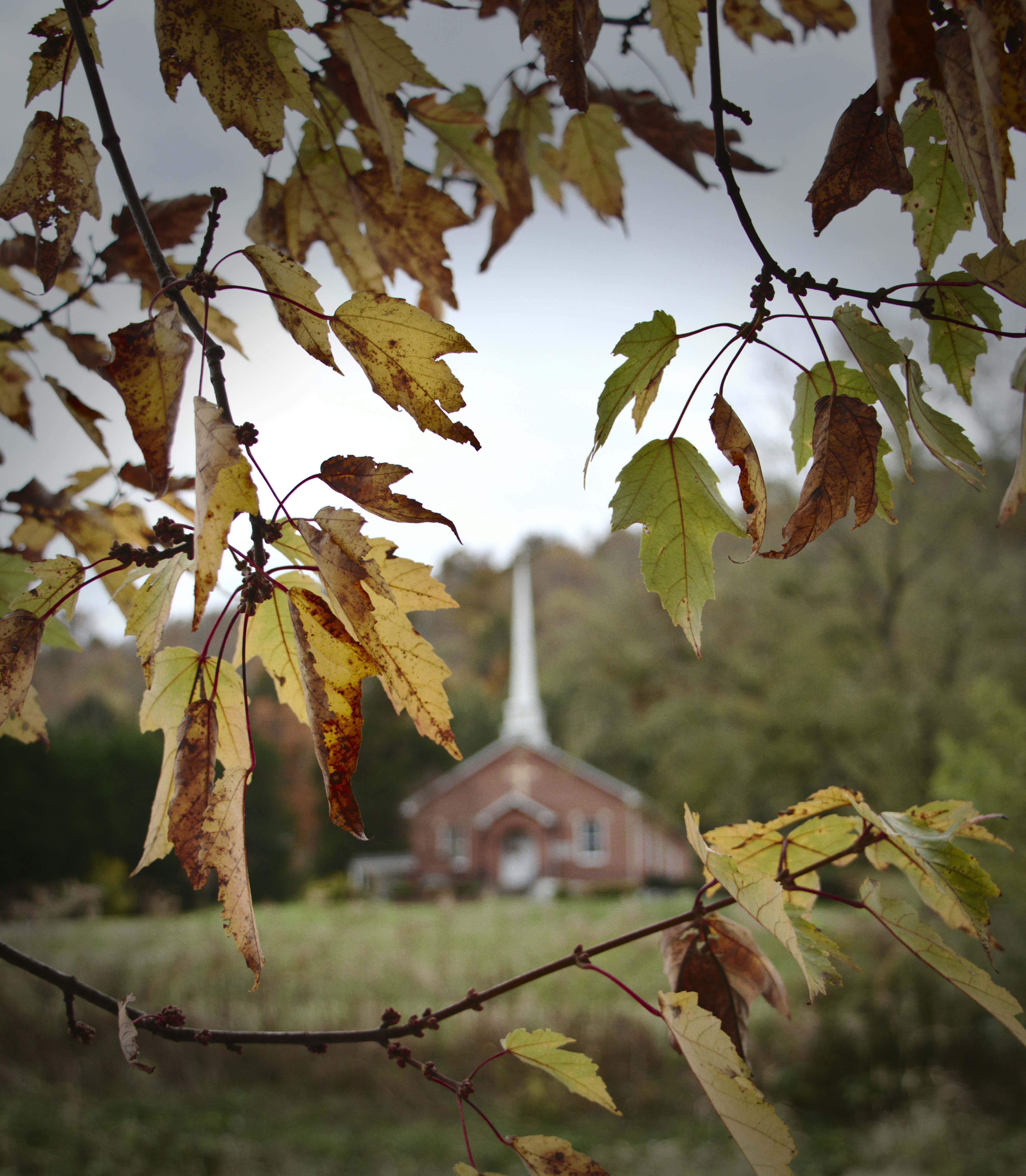 Autumn Fringe: Leaves Framing a Quiet Chapel in Soft Focus