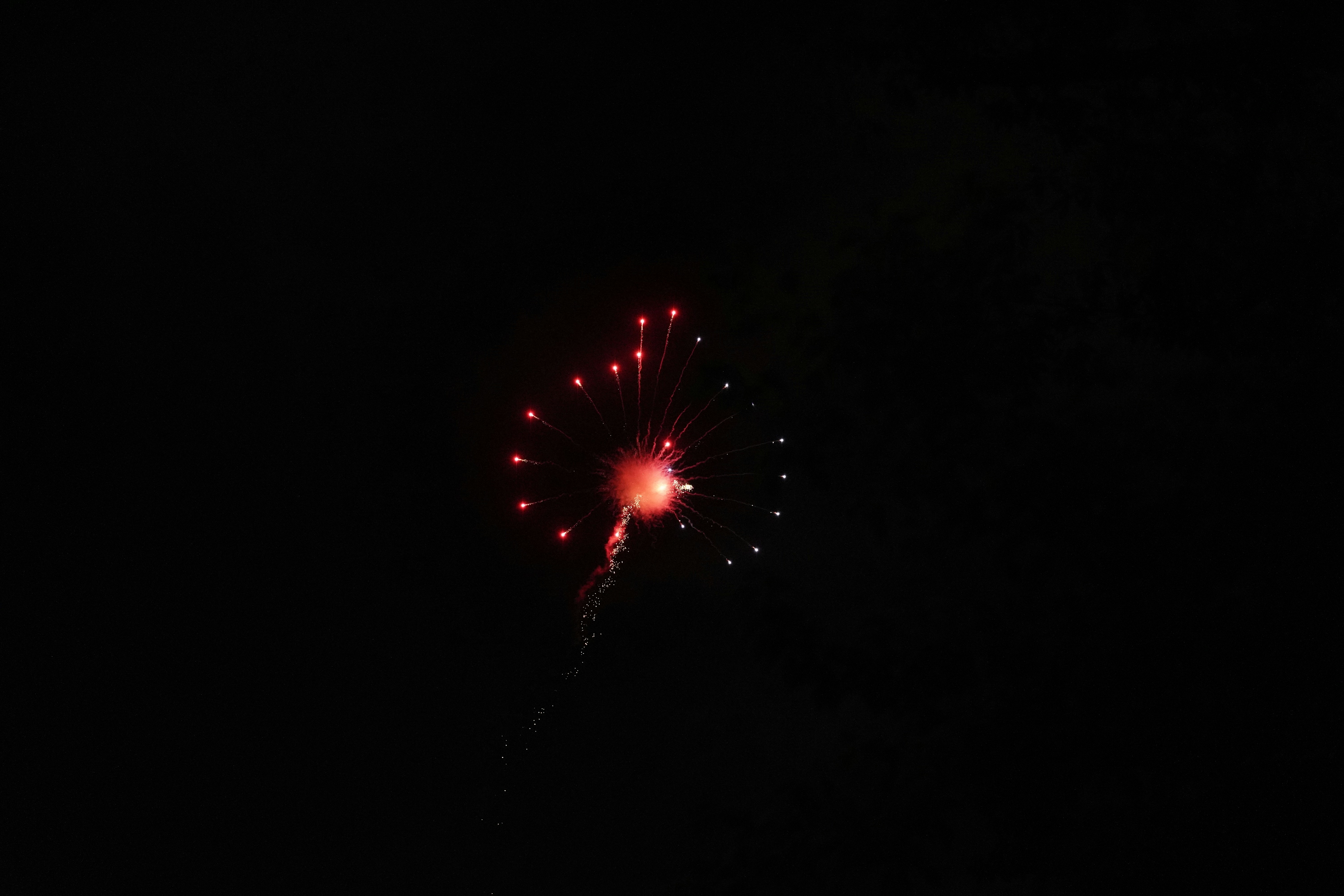 Crimson Firework Bloom in a Velvet Night Sky