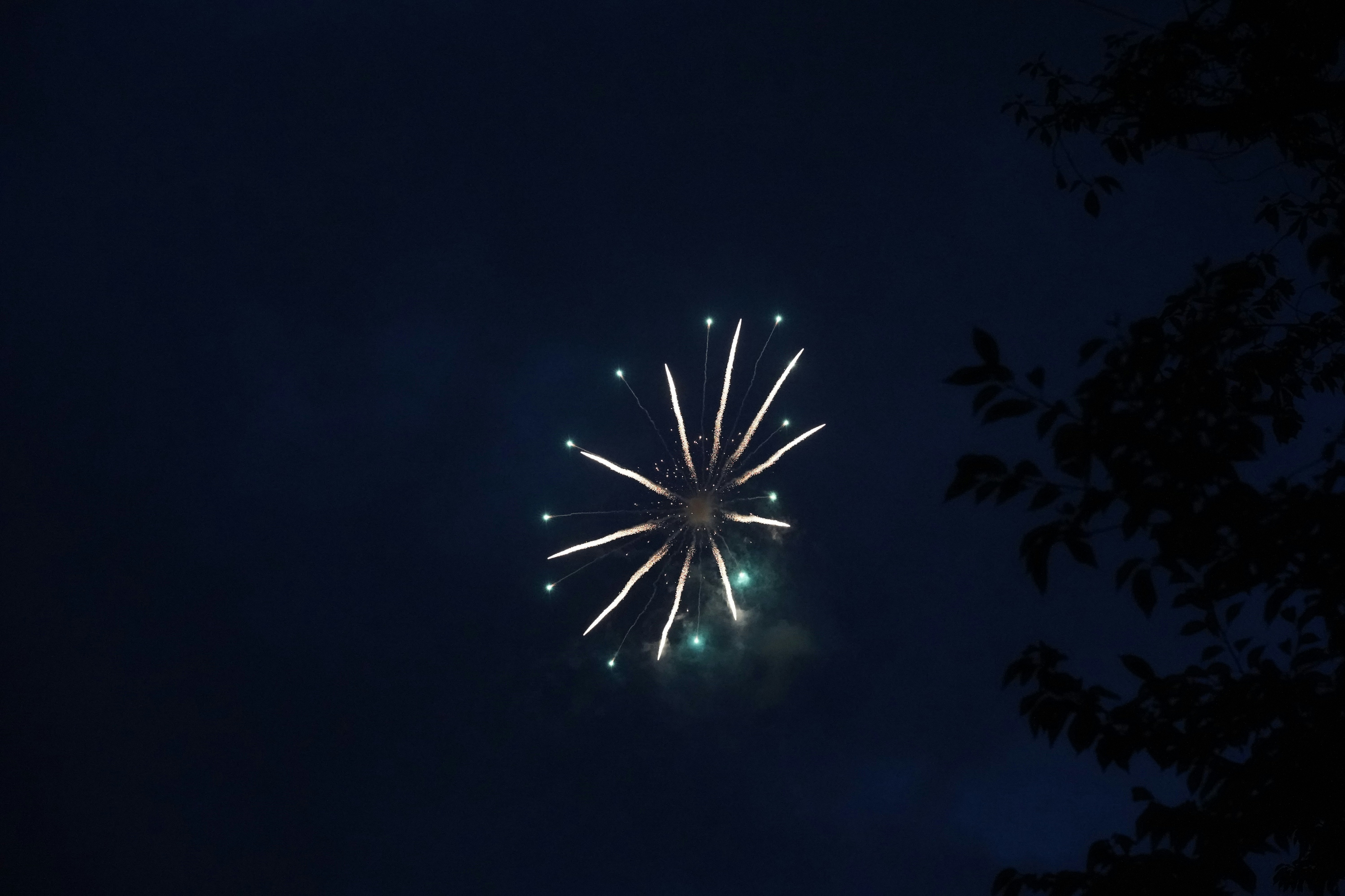 Fireworks