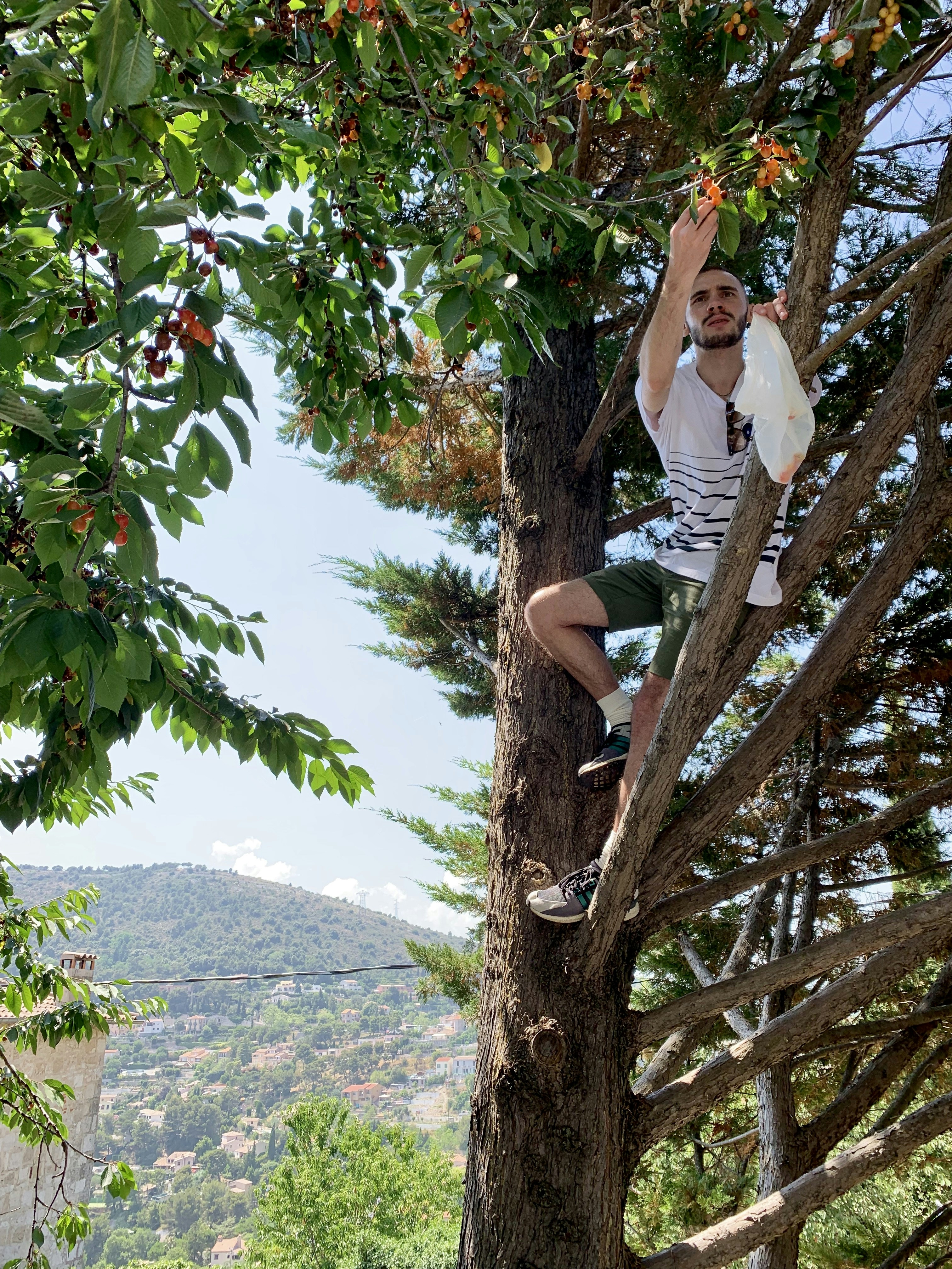 Branchbound Climber: A solitary figure high above a sunlit town