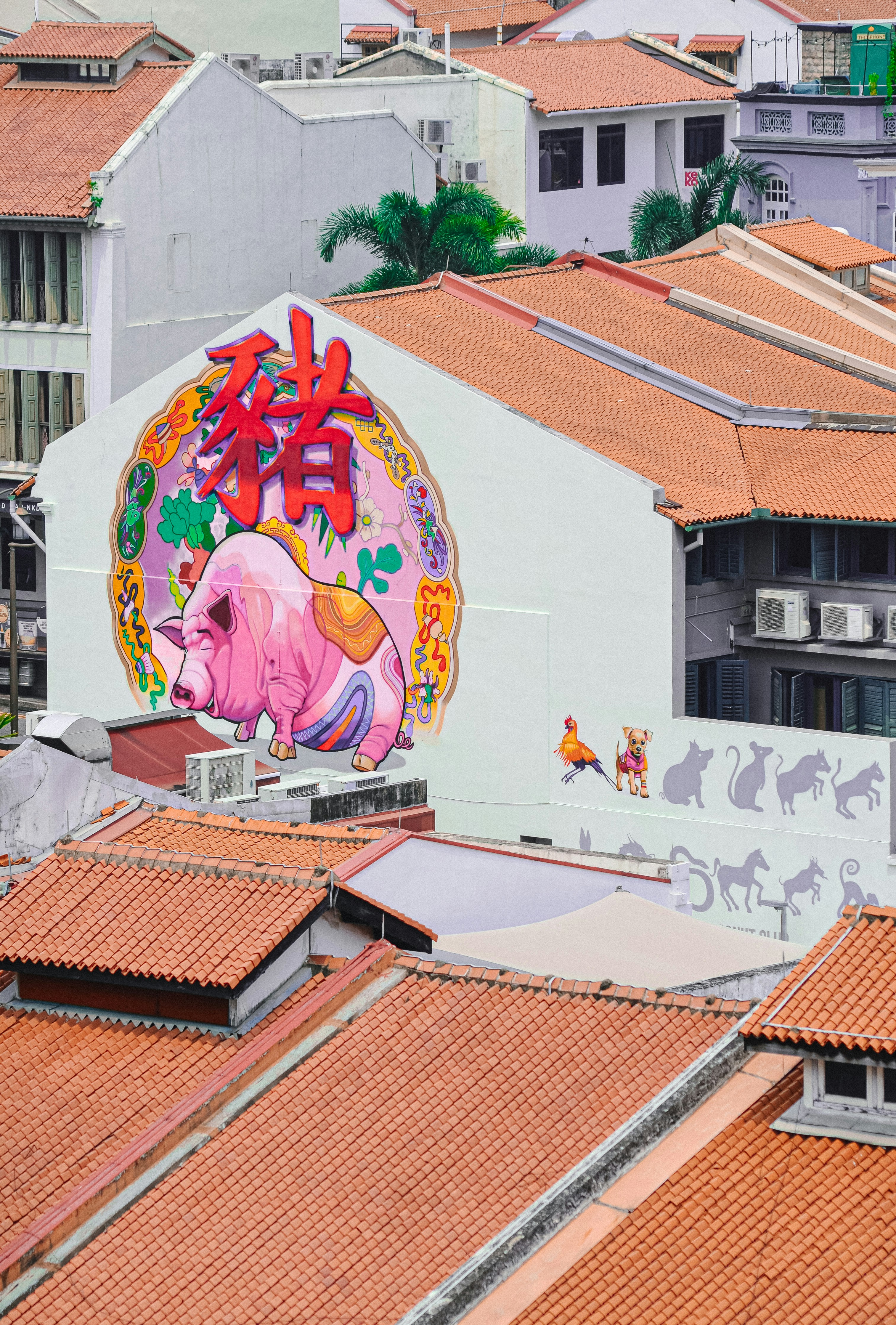 Vibrant mural of a pig on a white wall, surrounded by terracotta rooftops and urban architecture. The artwork features playful colors and intricate details.