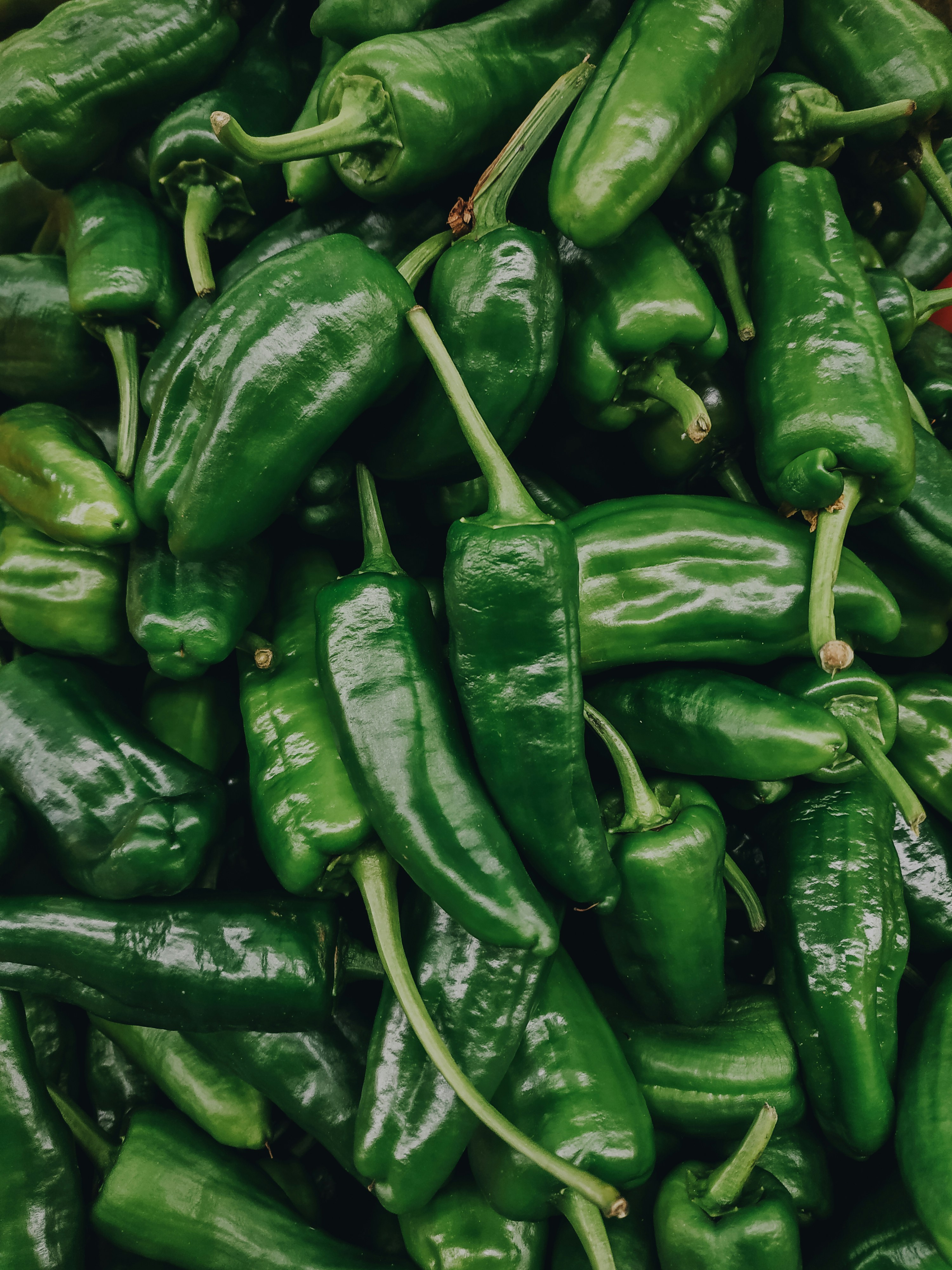 Green Pepper Pictures | Download Free Images on Unsplash