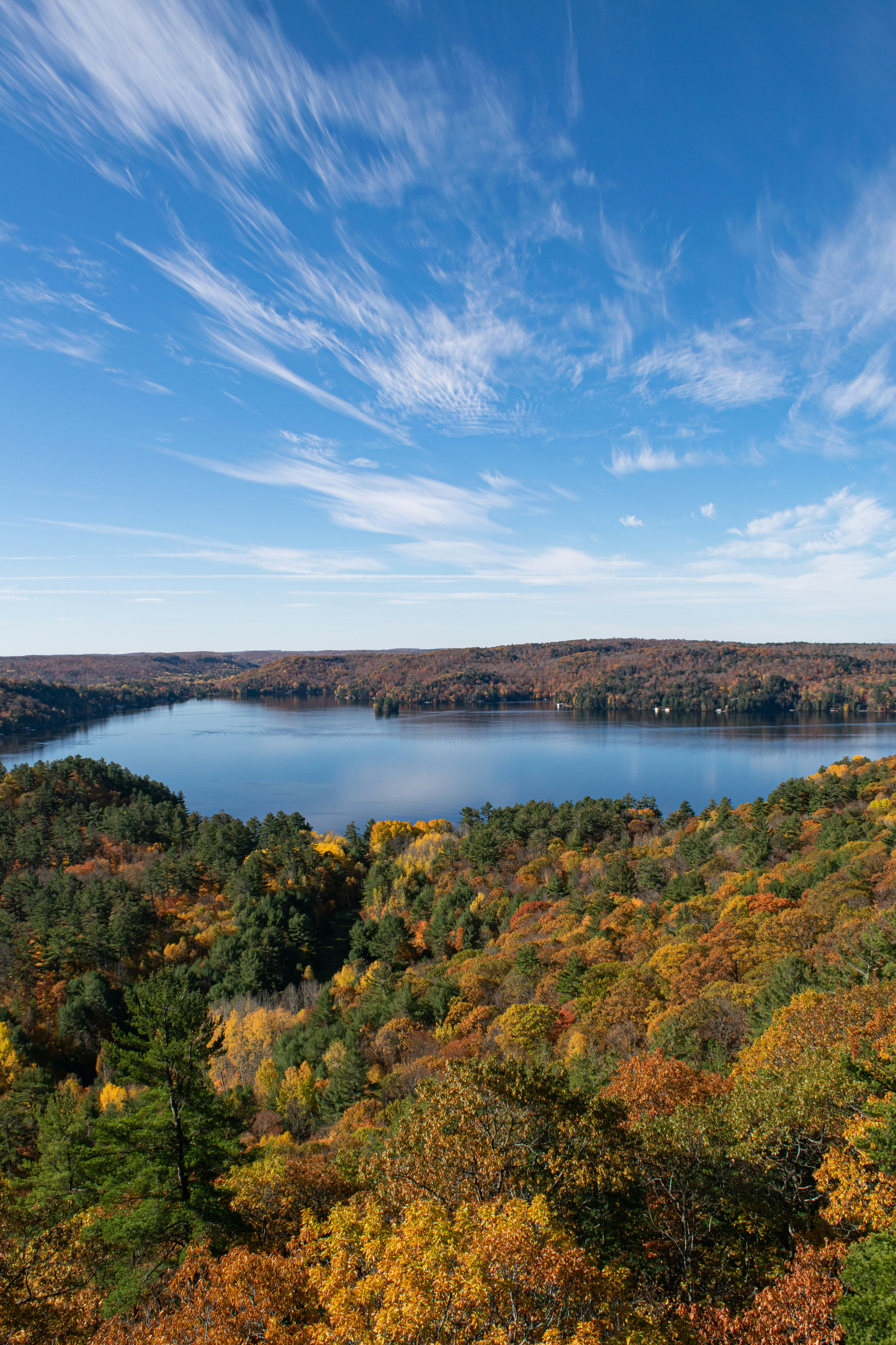 Green trees near body of water photo – Free Muskoka Image on Unsplash