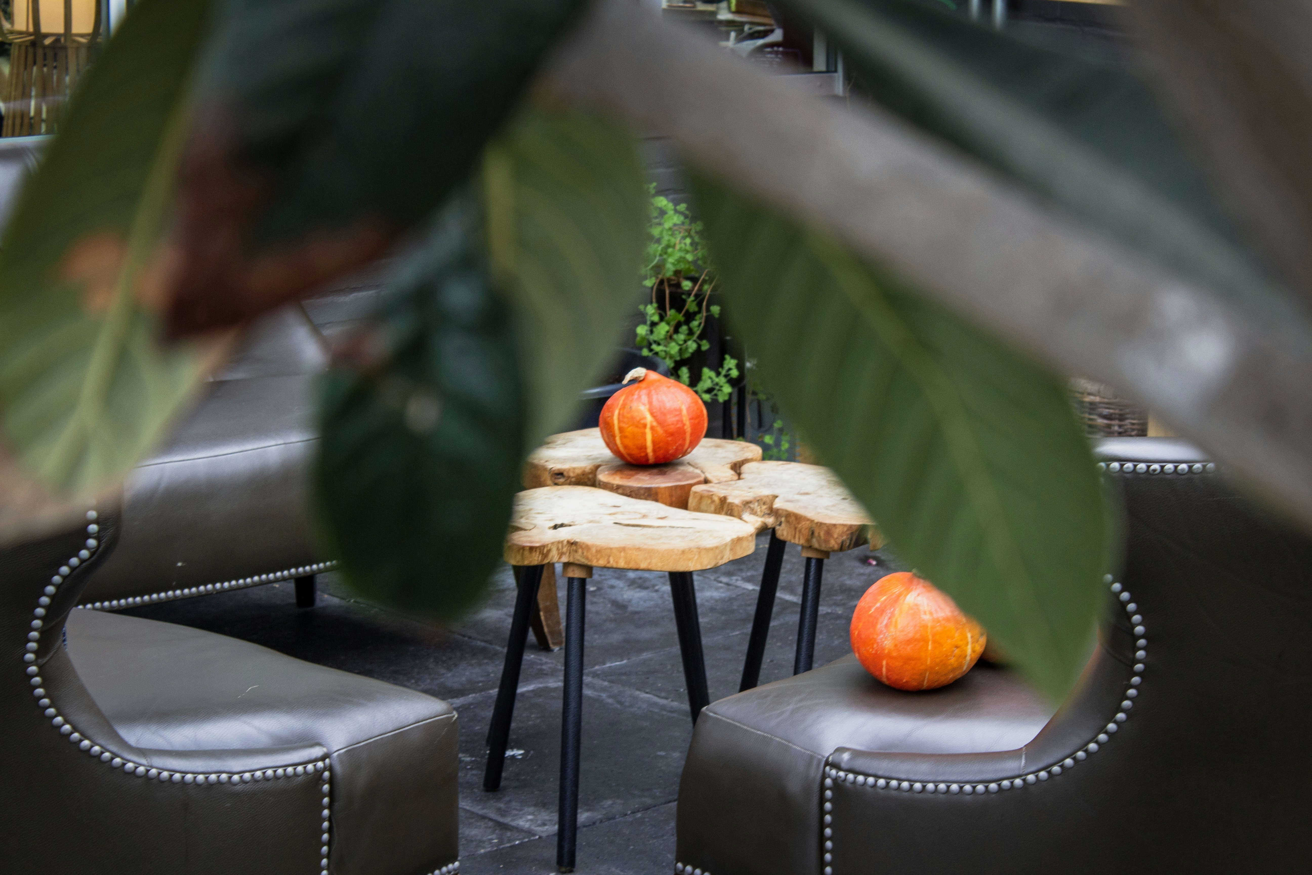 Pumpkin Pause: Cozy Seating Framed by Fall Harvest