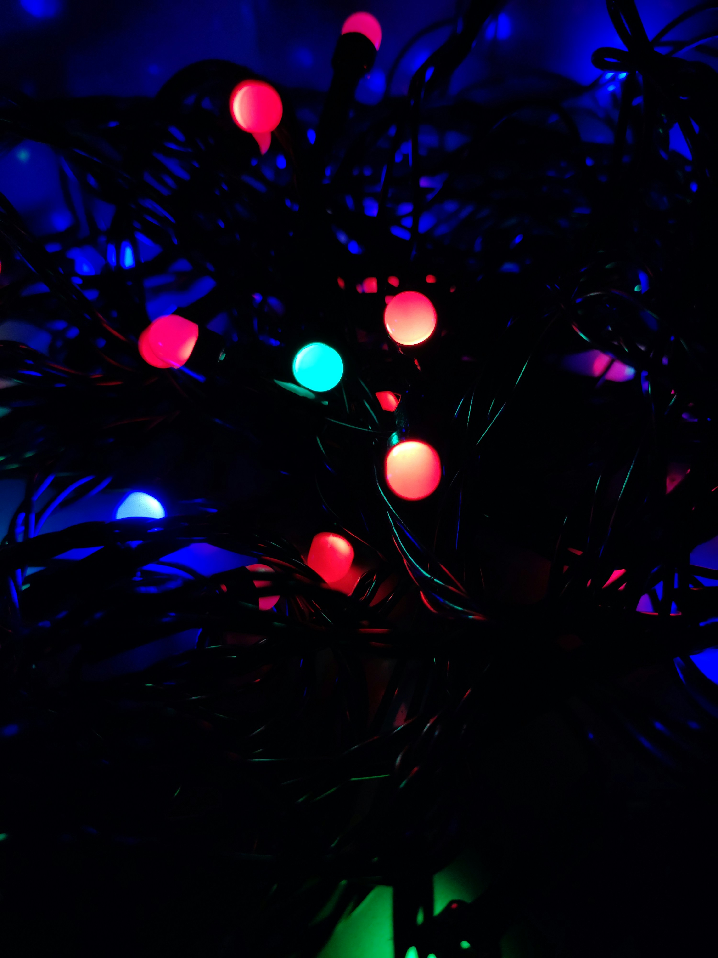 Colorful LED lights intertwined with dark wires create a vibrant, abstract composition. The luminescence contrasts against the deep shadows.