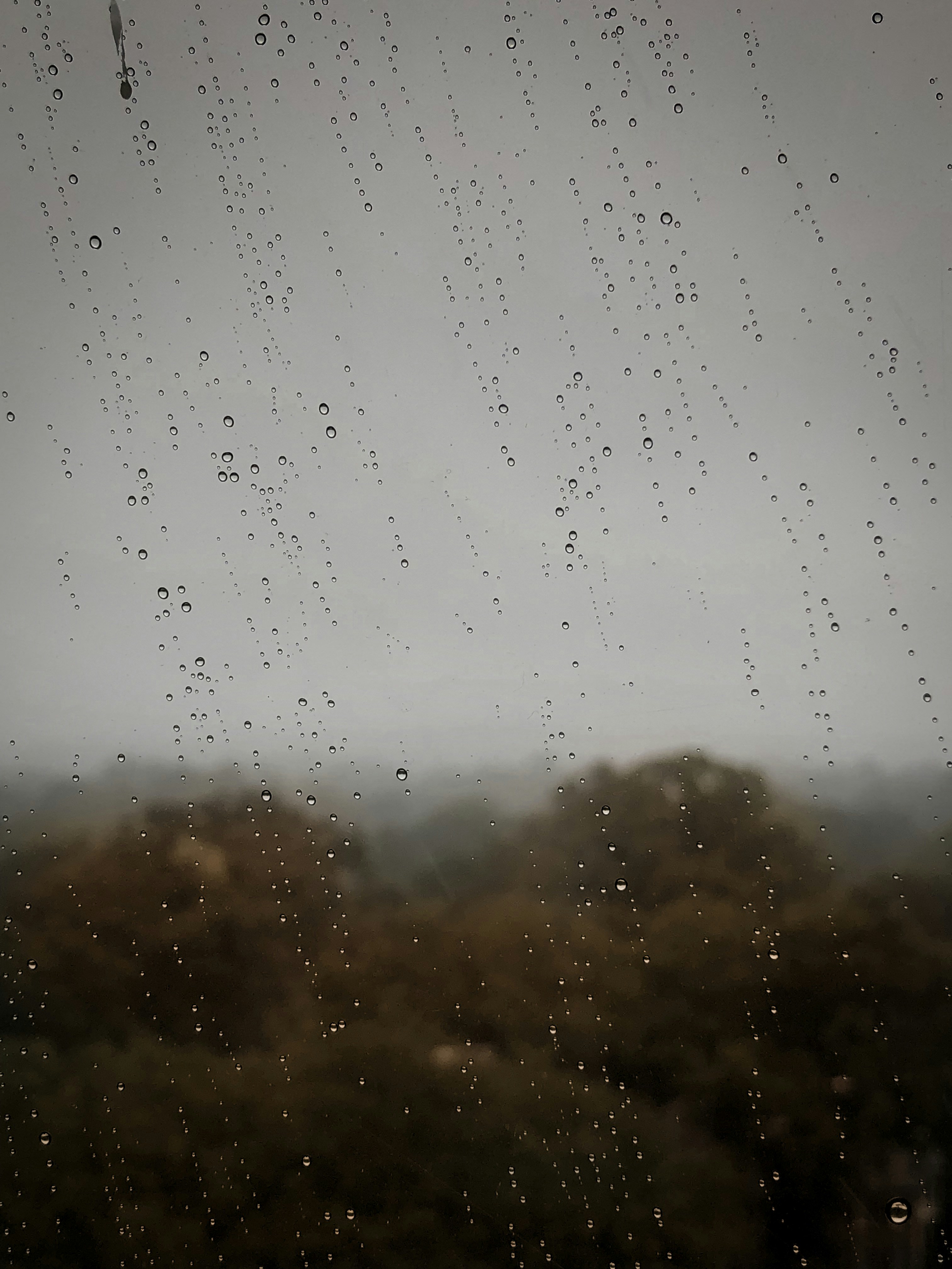 Rainy Weather Pictures | Download Free Images on Unsplash