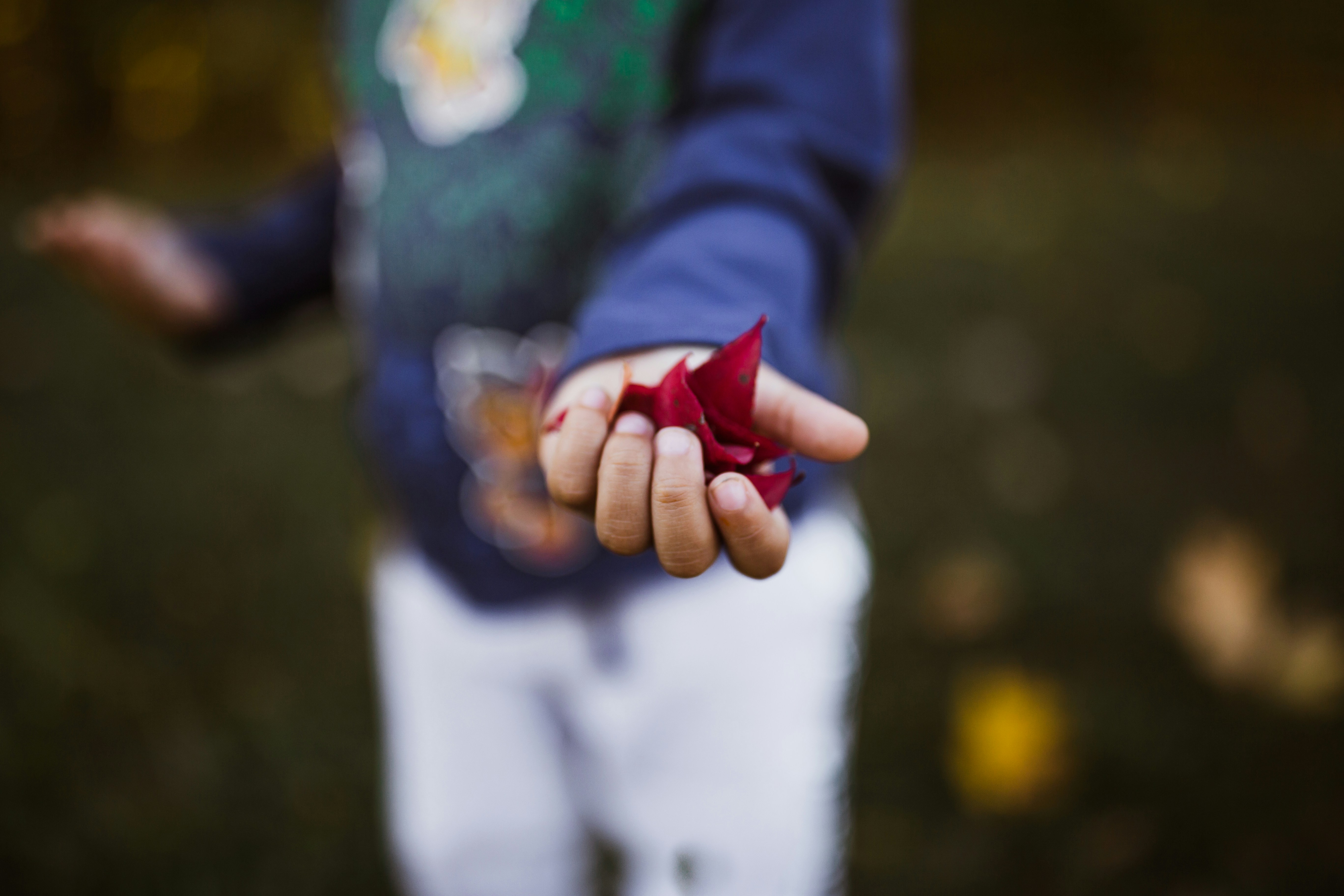Child holding a vibrant red leaf against a blurred autumnal background.