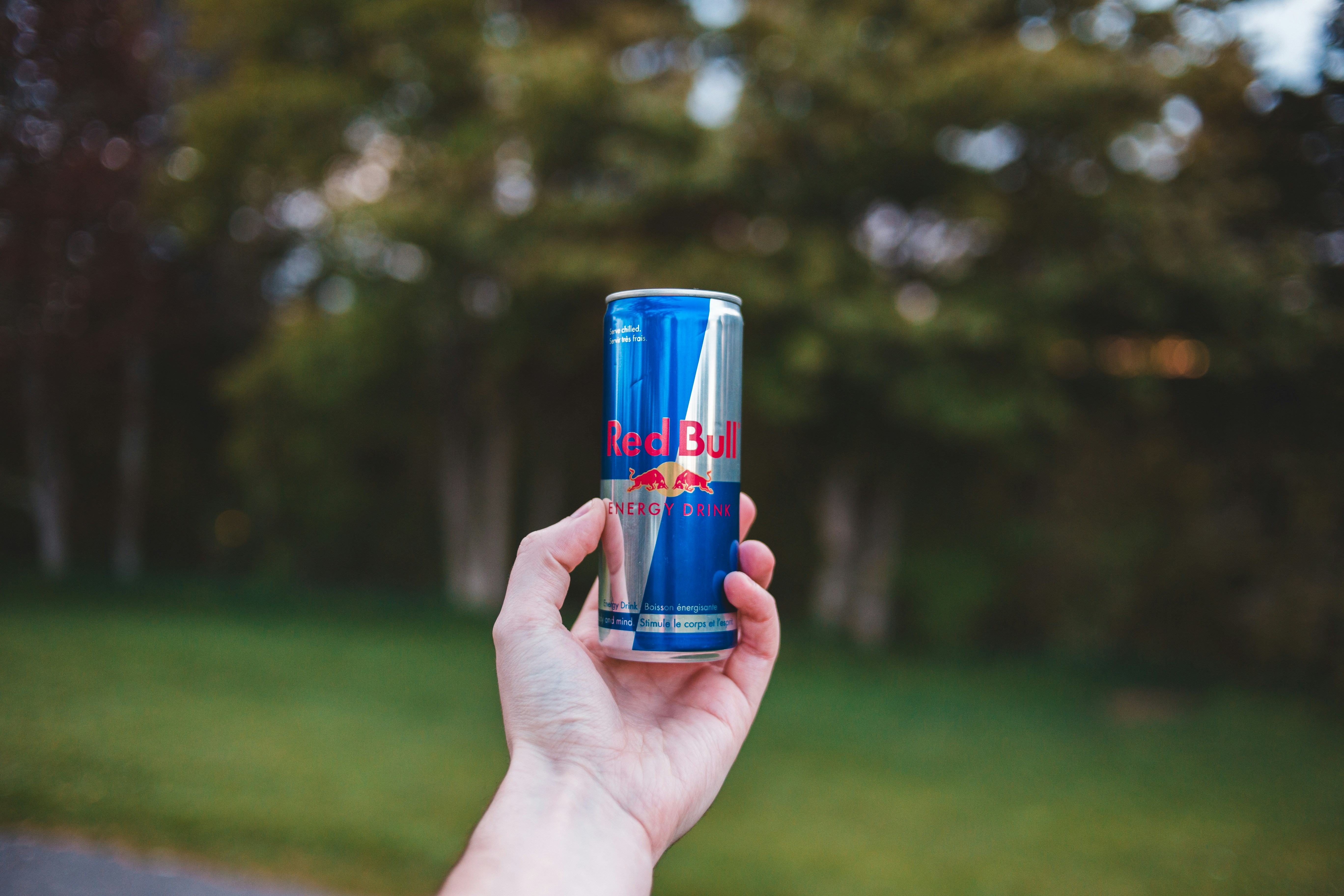 Person holding Red Bull energy drink can photo – Free Human Image on ...