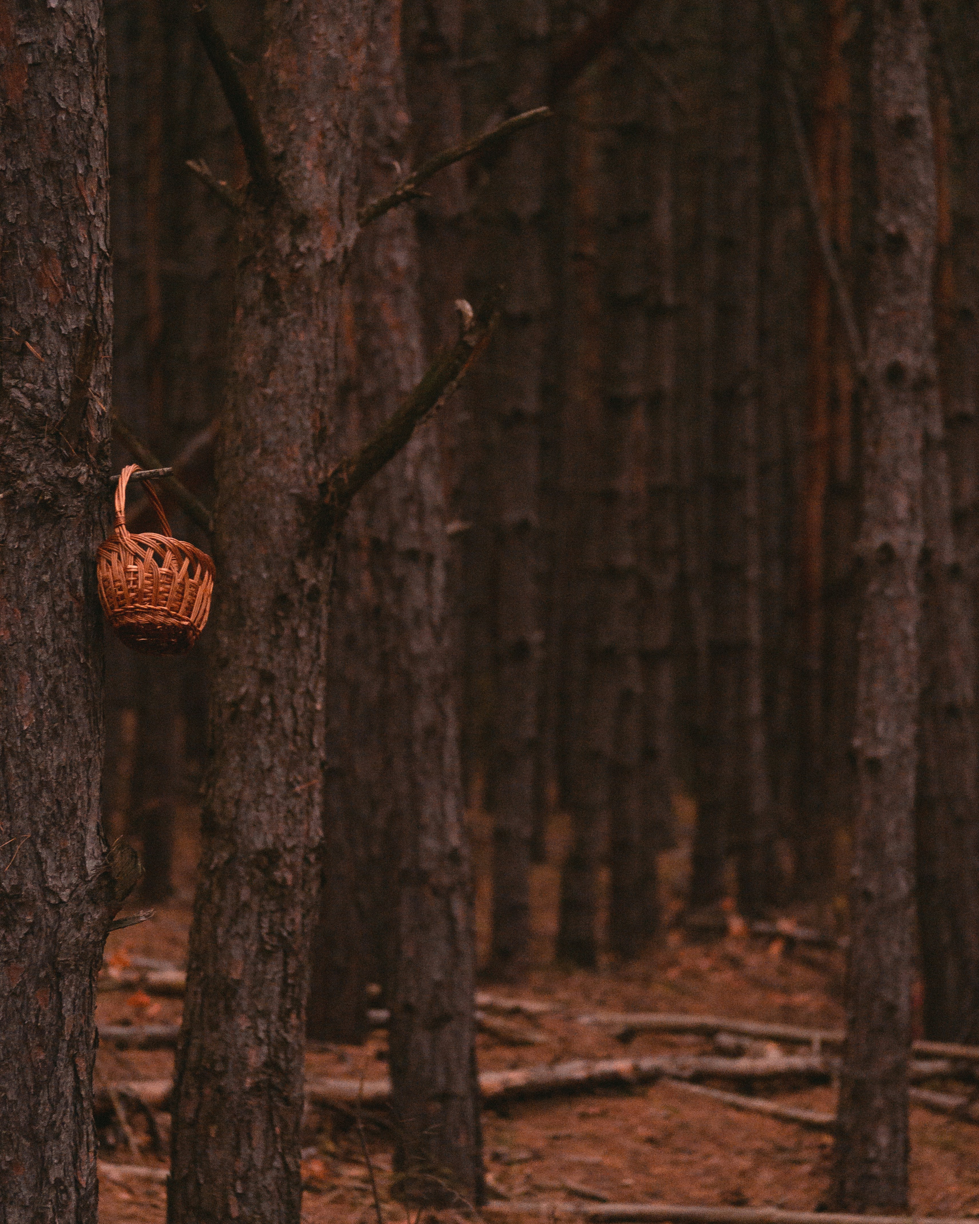 Photo by BĀBI with Olympus OM-D E-M10 Mark II