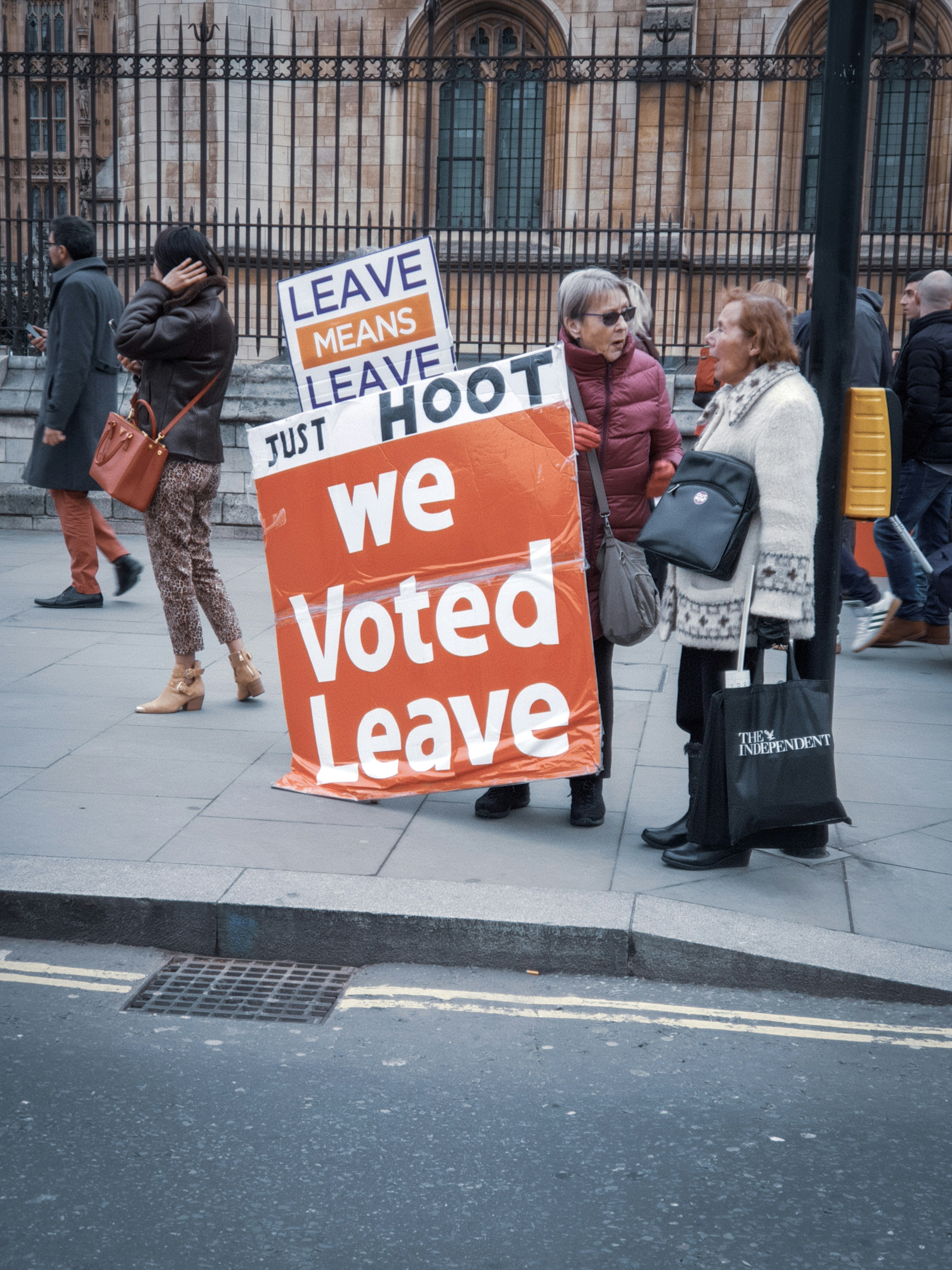 woman holding we voted leave signage