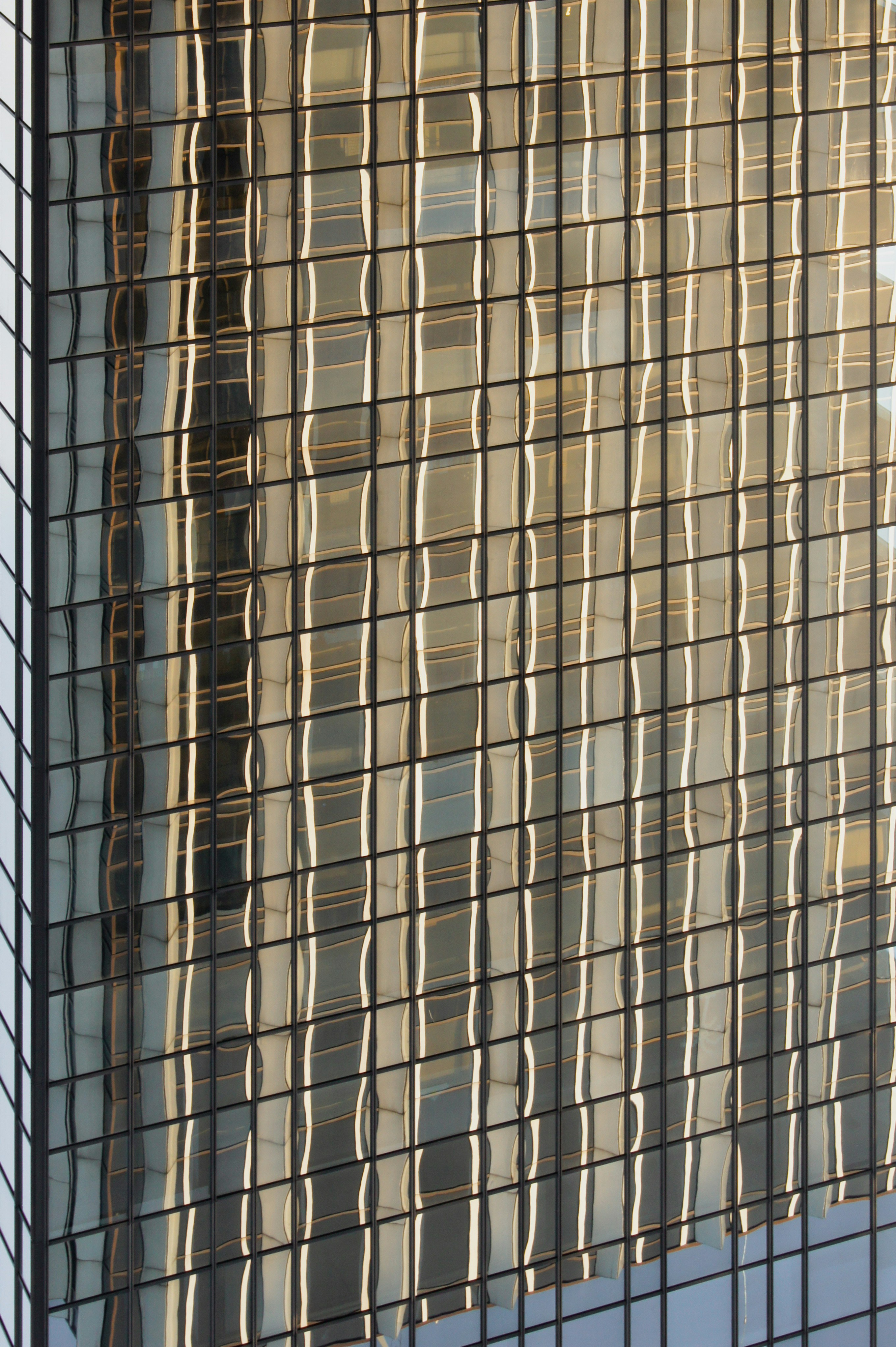 Abstract patterns of light reflecting off a glass building, showcasing the interplay between architecture and nature. 