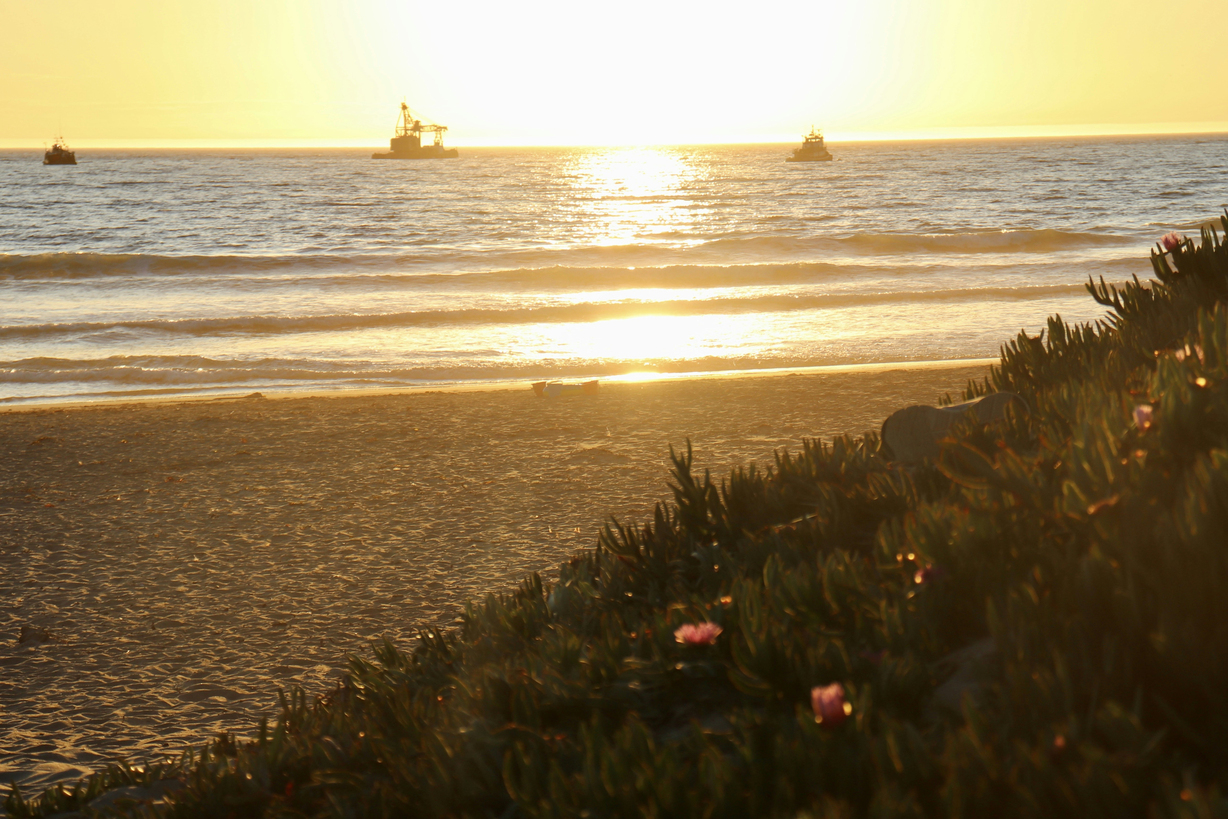 Golden Hour on the Quiet Shoreline