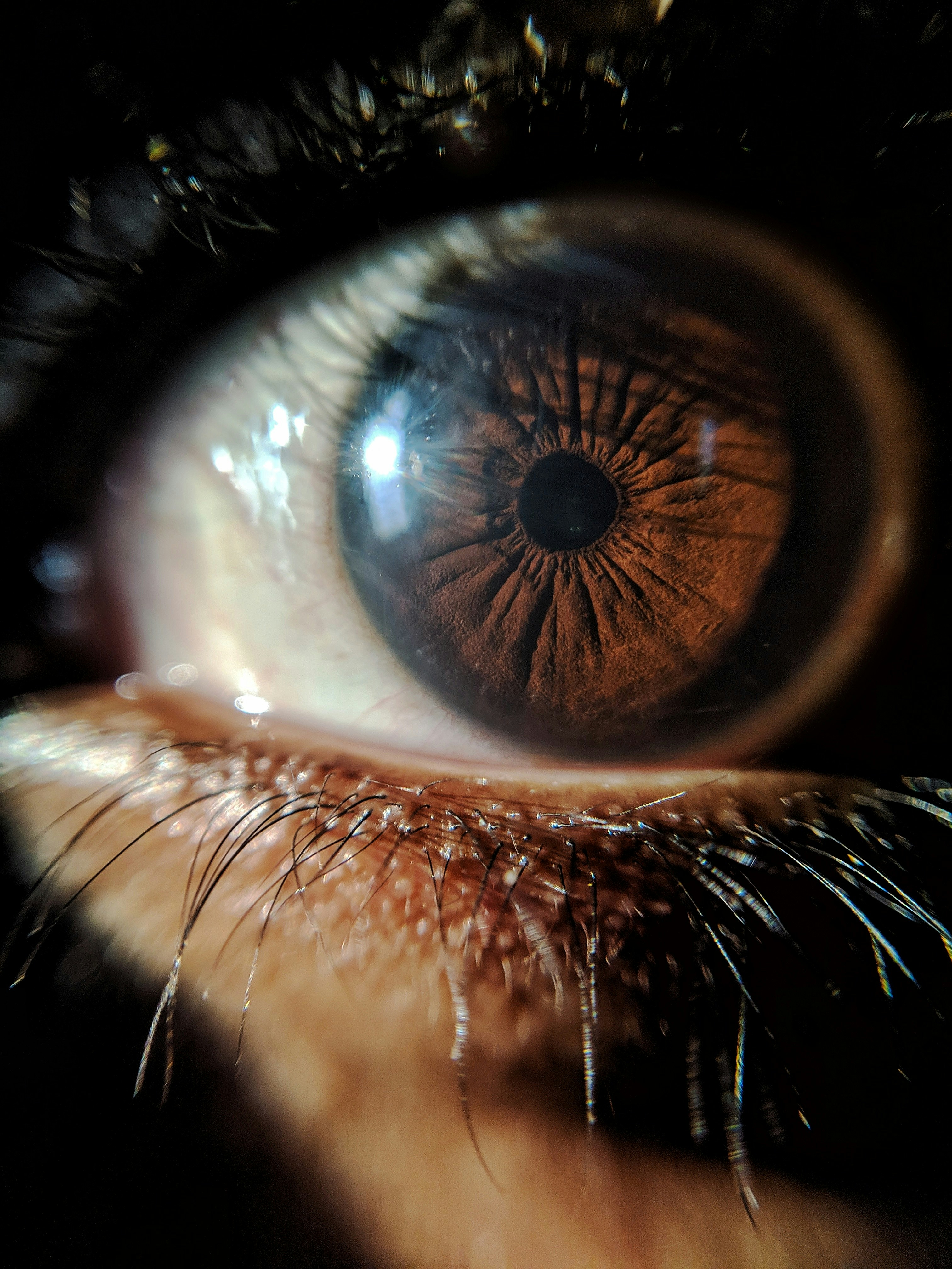 Close-up photography of human eye photo – Free Eye Image on Unsplash