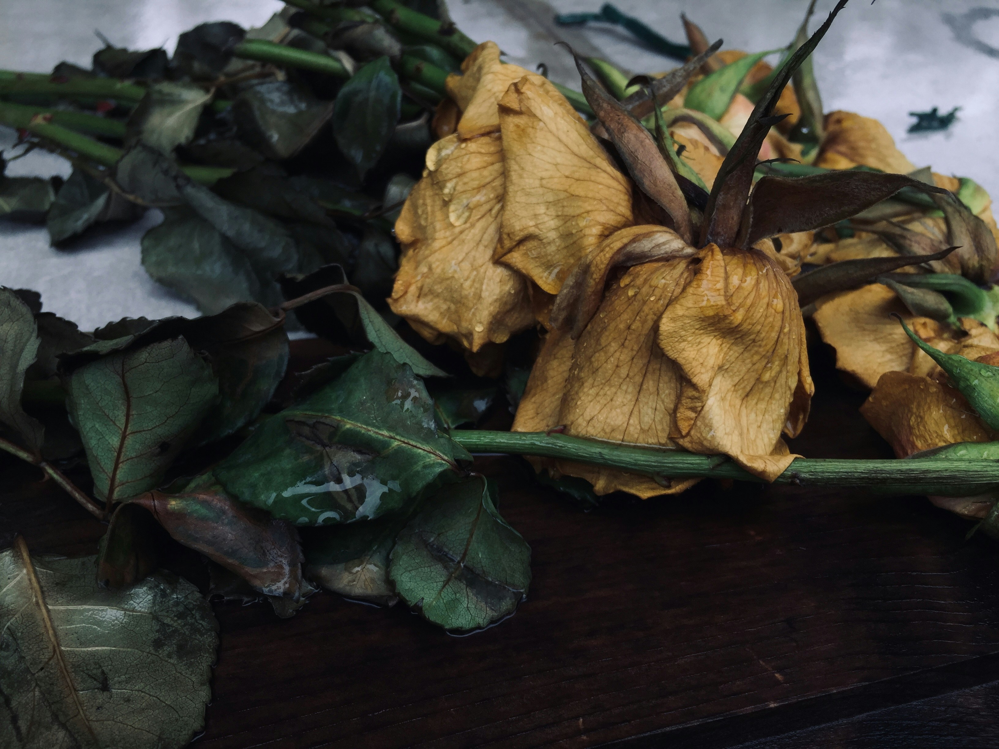 A cluster of dried, yellow roses intertwined with green leaves, resting on a dark wooden surface. The scene evokes a sense of nostalgia and beauty in decay.