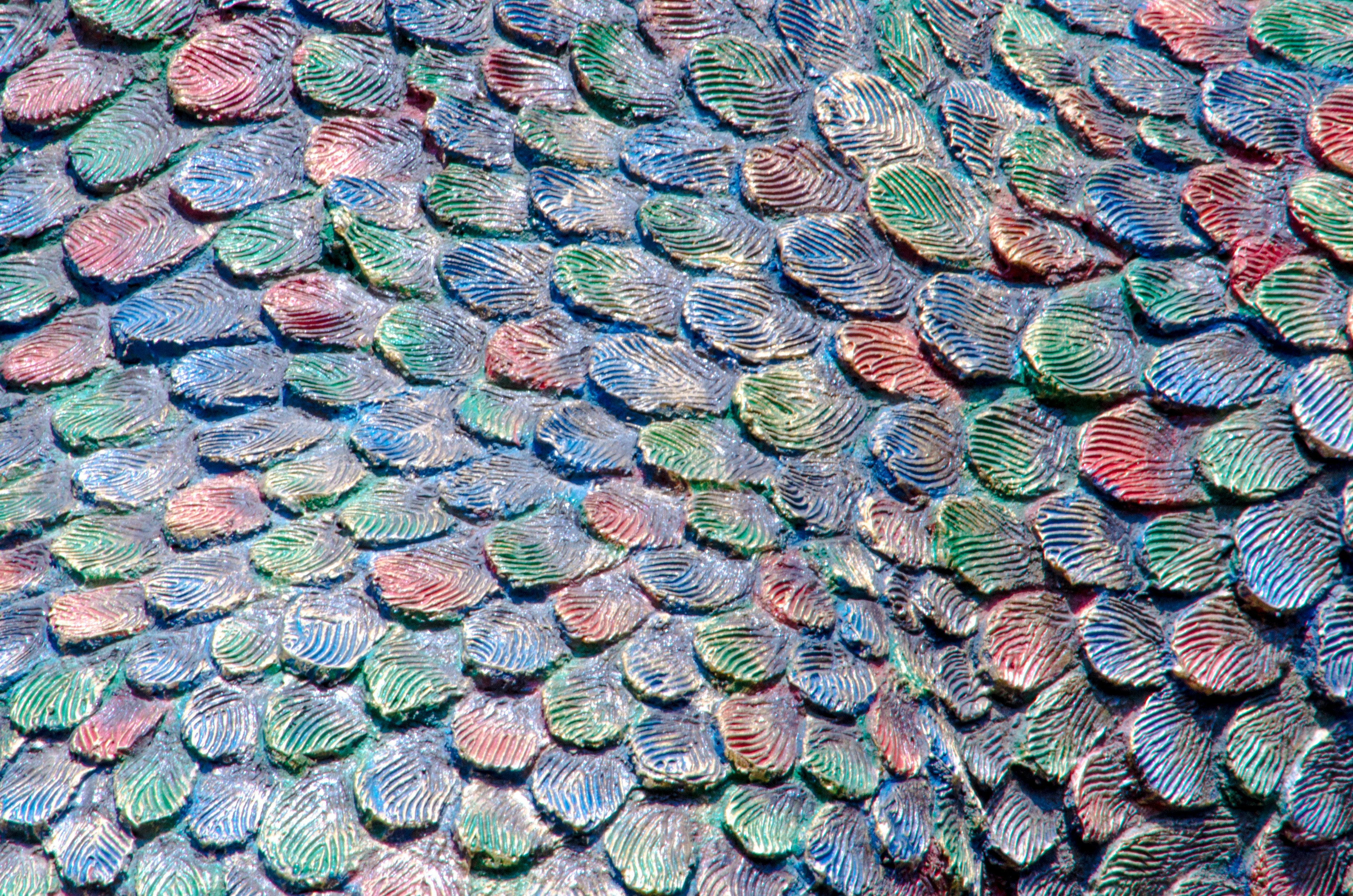 Iridescent Scale Mosaic: a Macro Study of Rainbow Textures