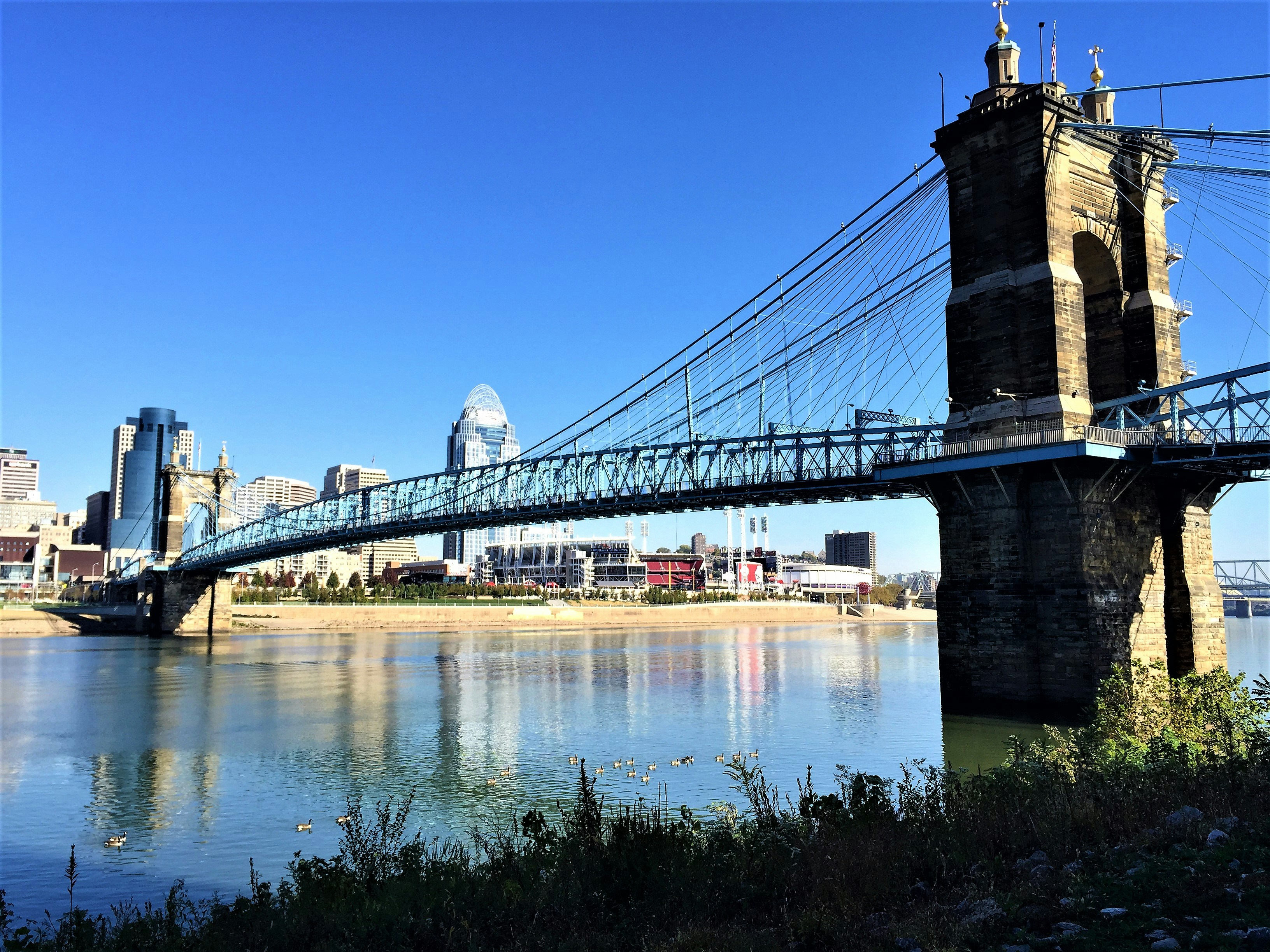 Suspension bridge spanning a calm river with a city skyline under a clear blue sky.