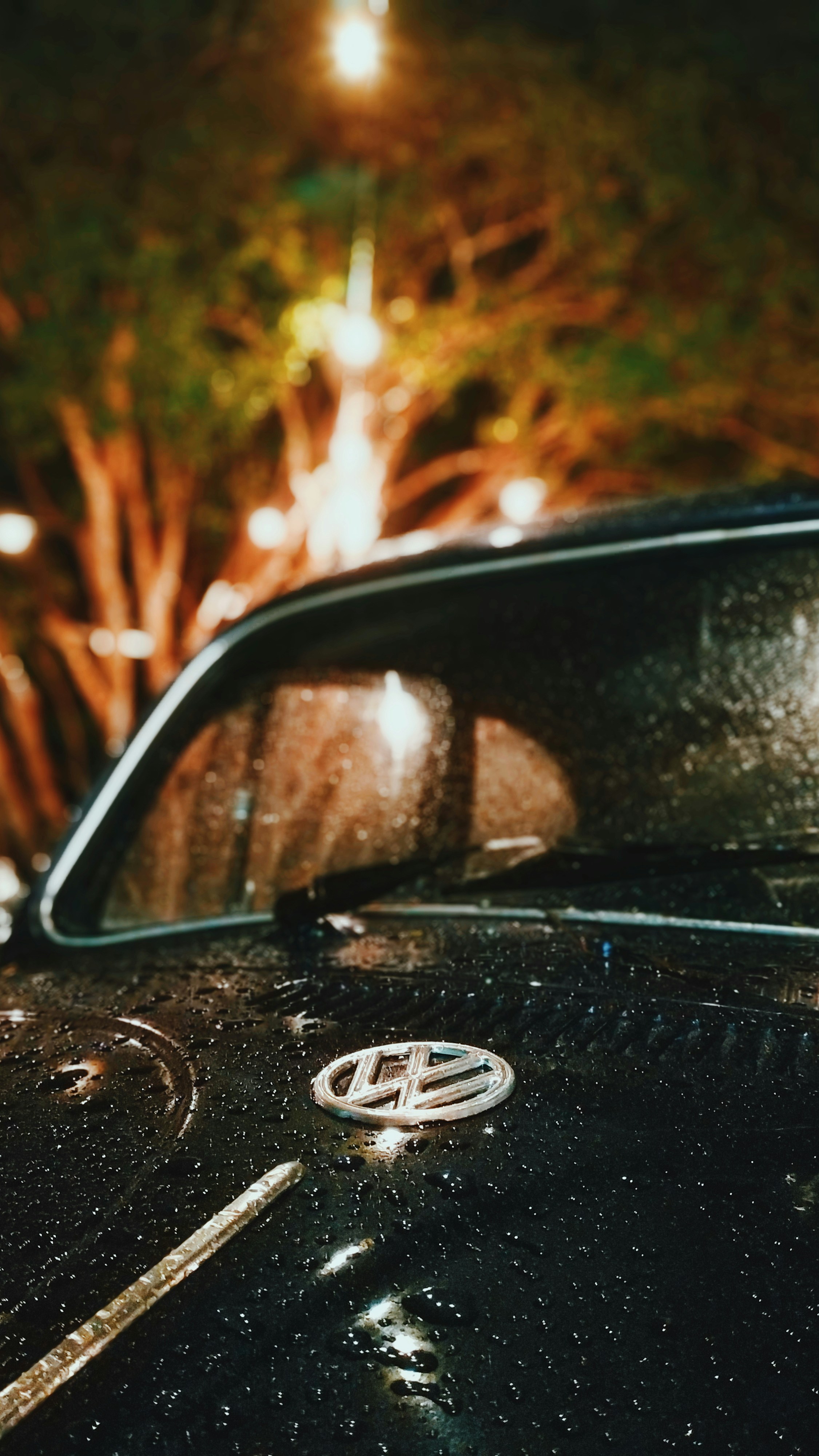 Badge Beneath Nightfall: A Raindrop-Glazed Volkswagen Moment