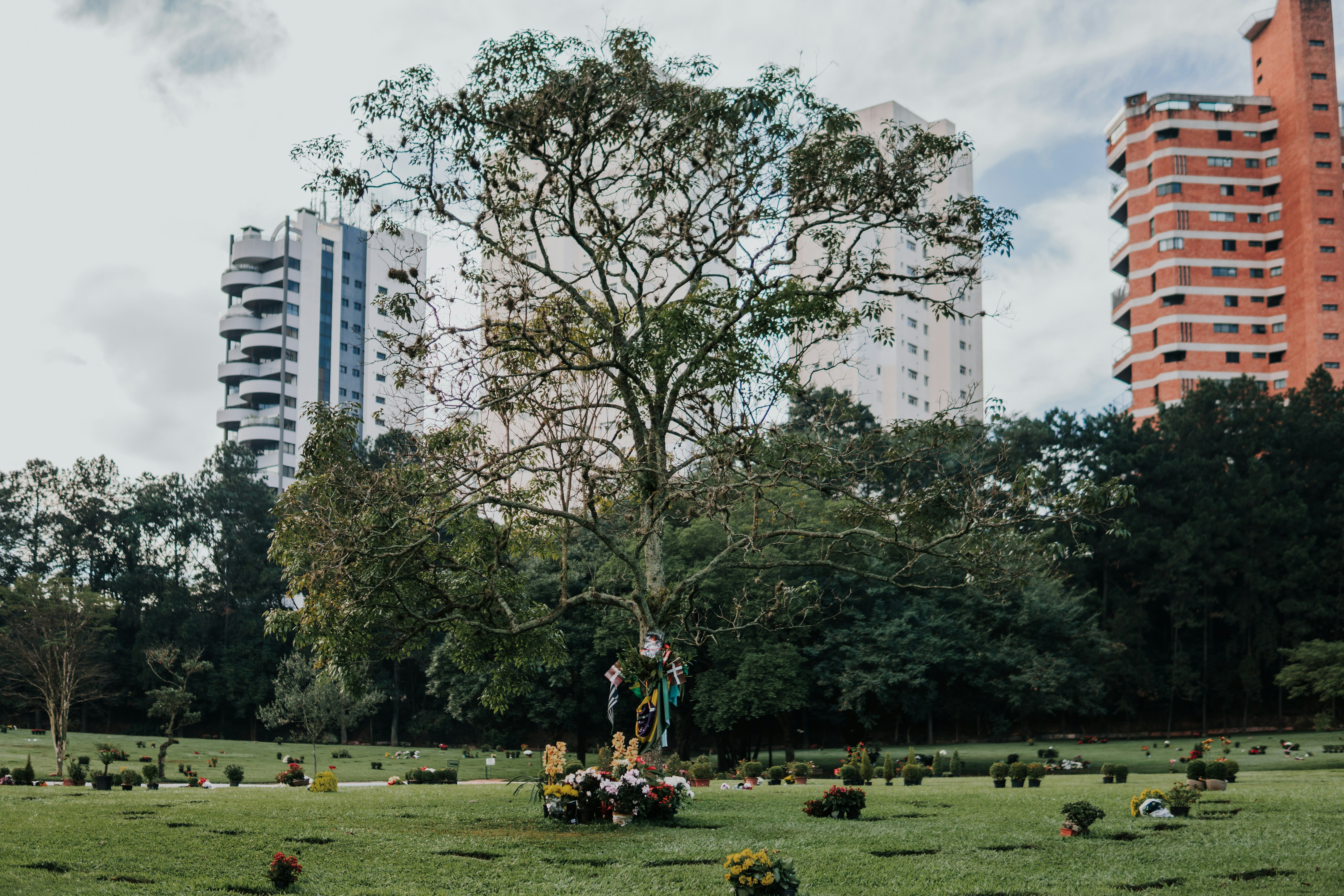 Green trees near building during daytime photo – Free Grey Image on ...