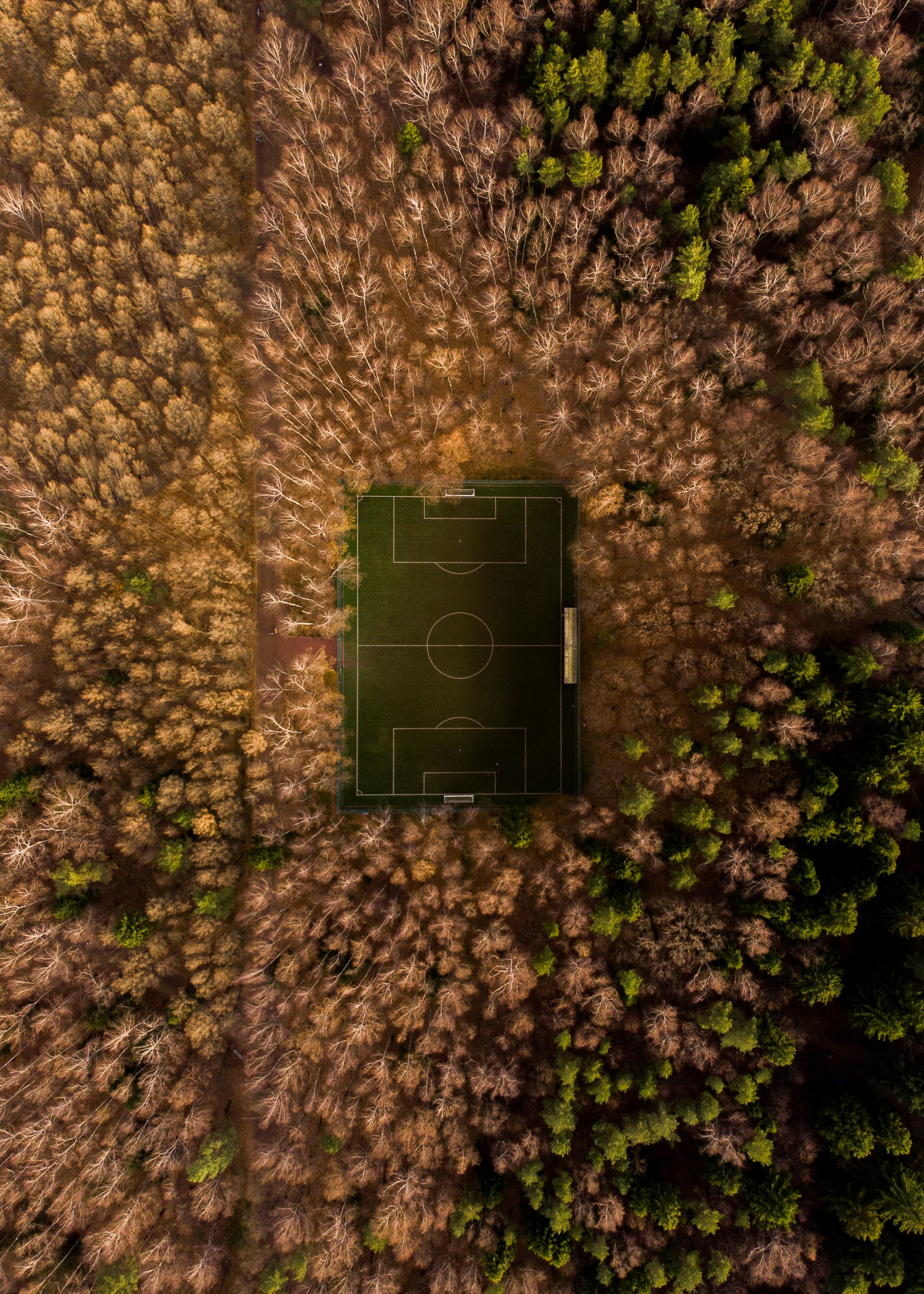 Autumn soccer field in forestPhilipp Trubchenko