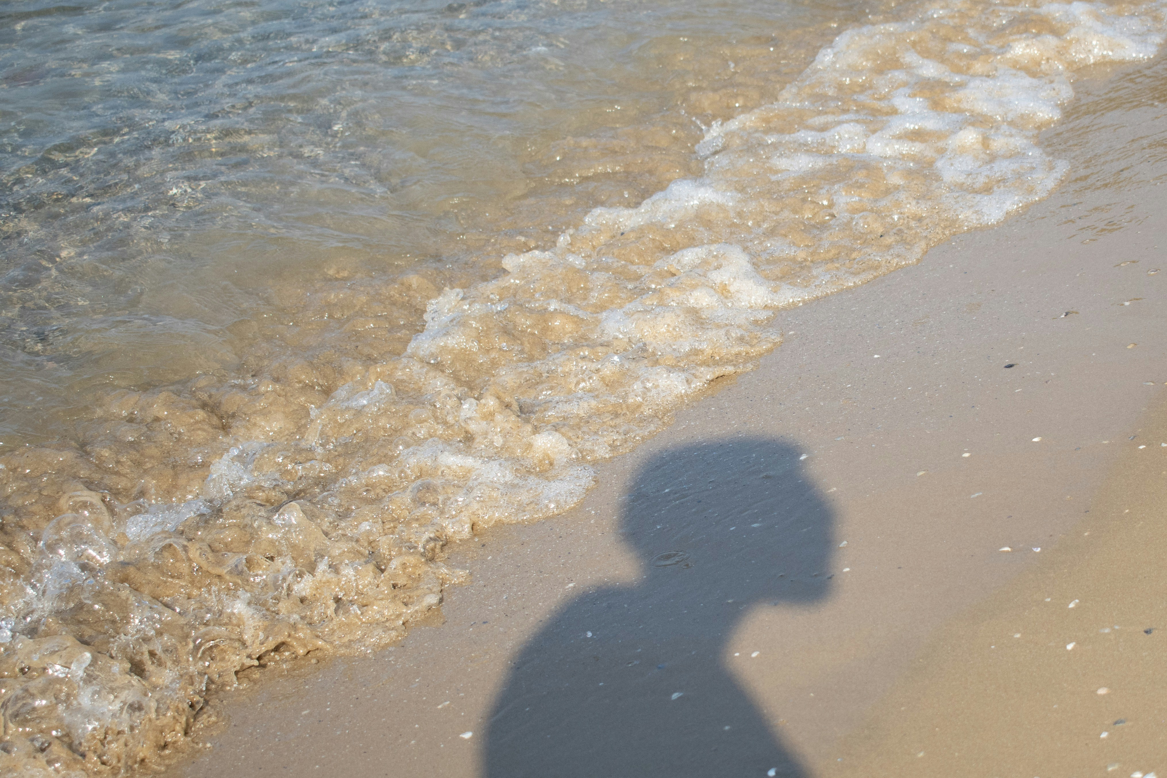 Shadow on the Sand: A Sunlit Beach Moment by Gentle Waves